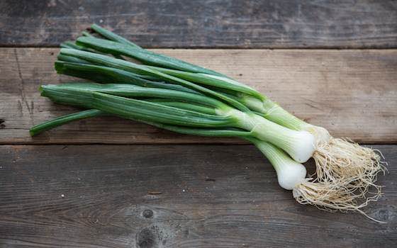 Organic White Spring Onions | 1 bunch | County Line Harvest | Good Eggs