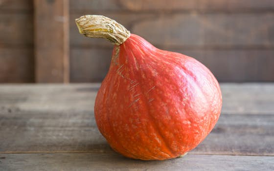 Organic Red Kuri Squash | 1 count | Gauchito Hill Farm | Good Eggs