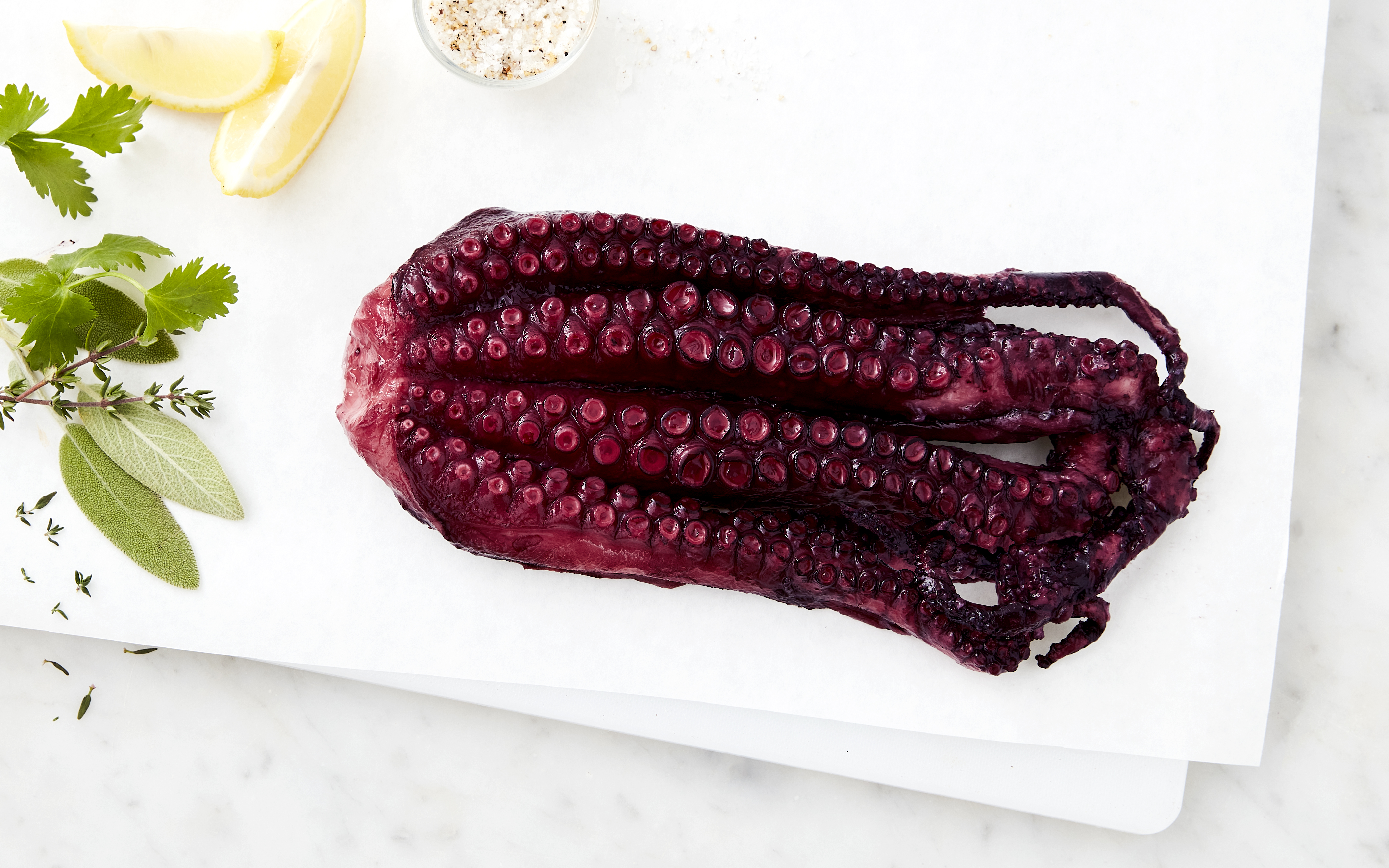 Cooked Octopus Tentacles | 1 count | Four Star Seafood & Provisions ...