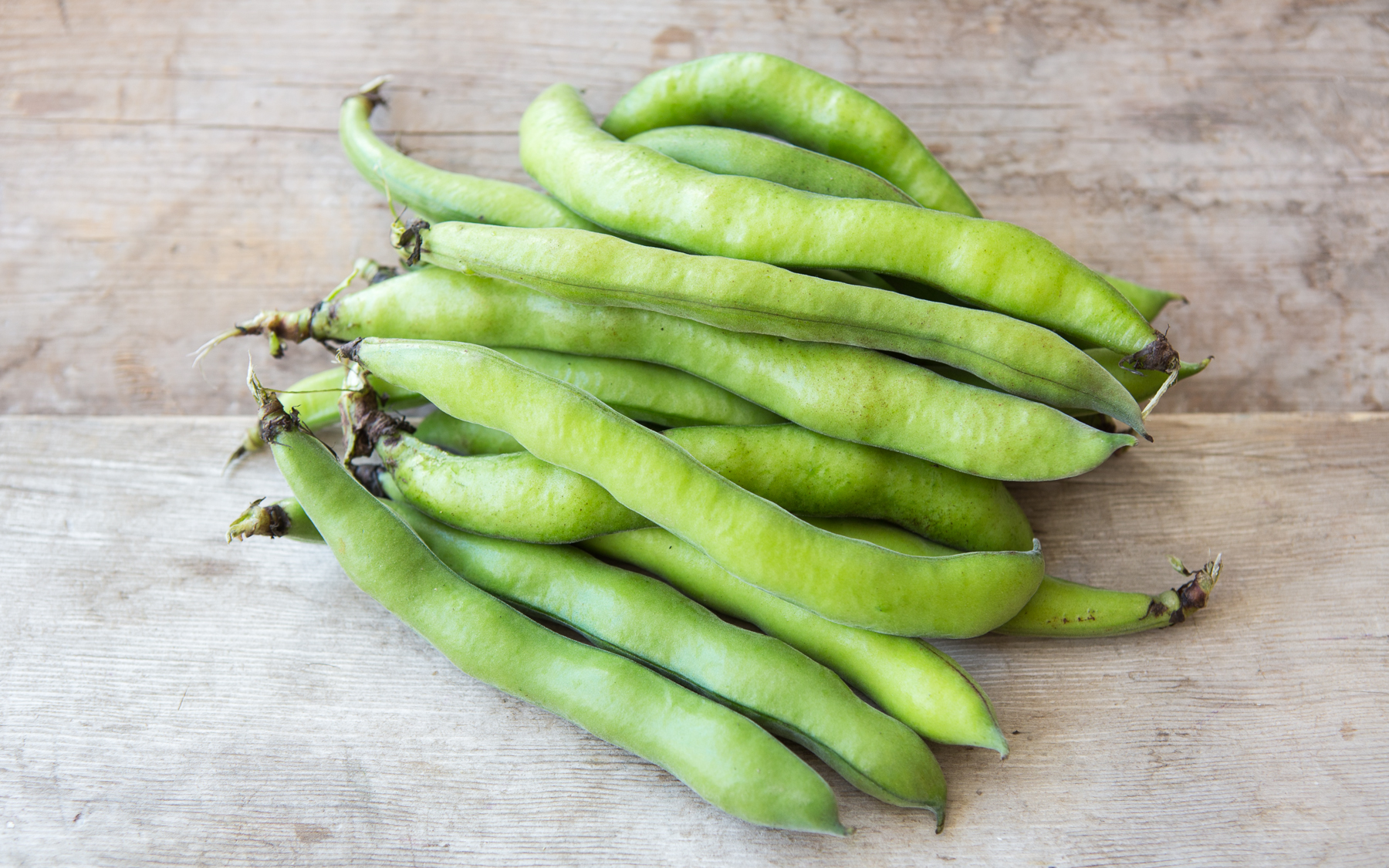 Organic Fava Beans | 1 lb | Blue House Farm | Good Eggs