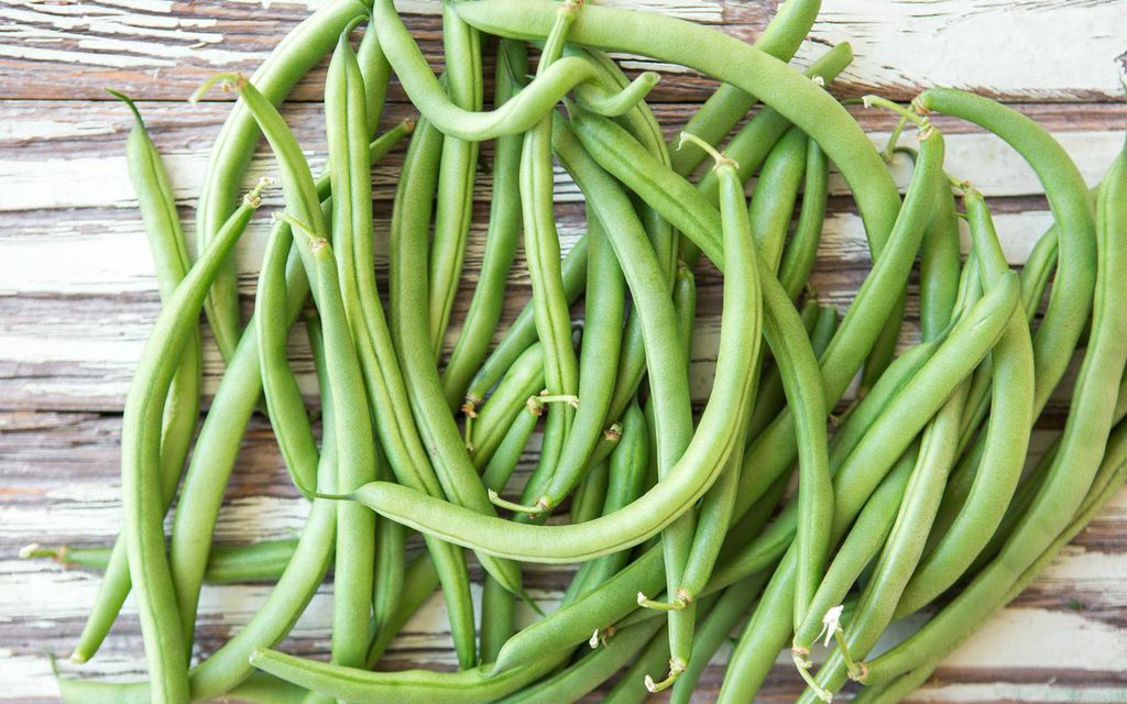 Organic Blue Lake Green Beans | 1 lb | Dirty Girl Produce | Good Eggs