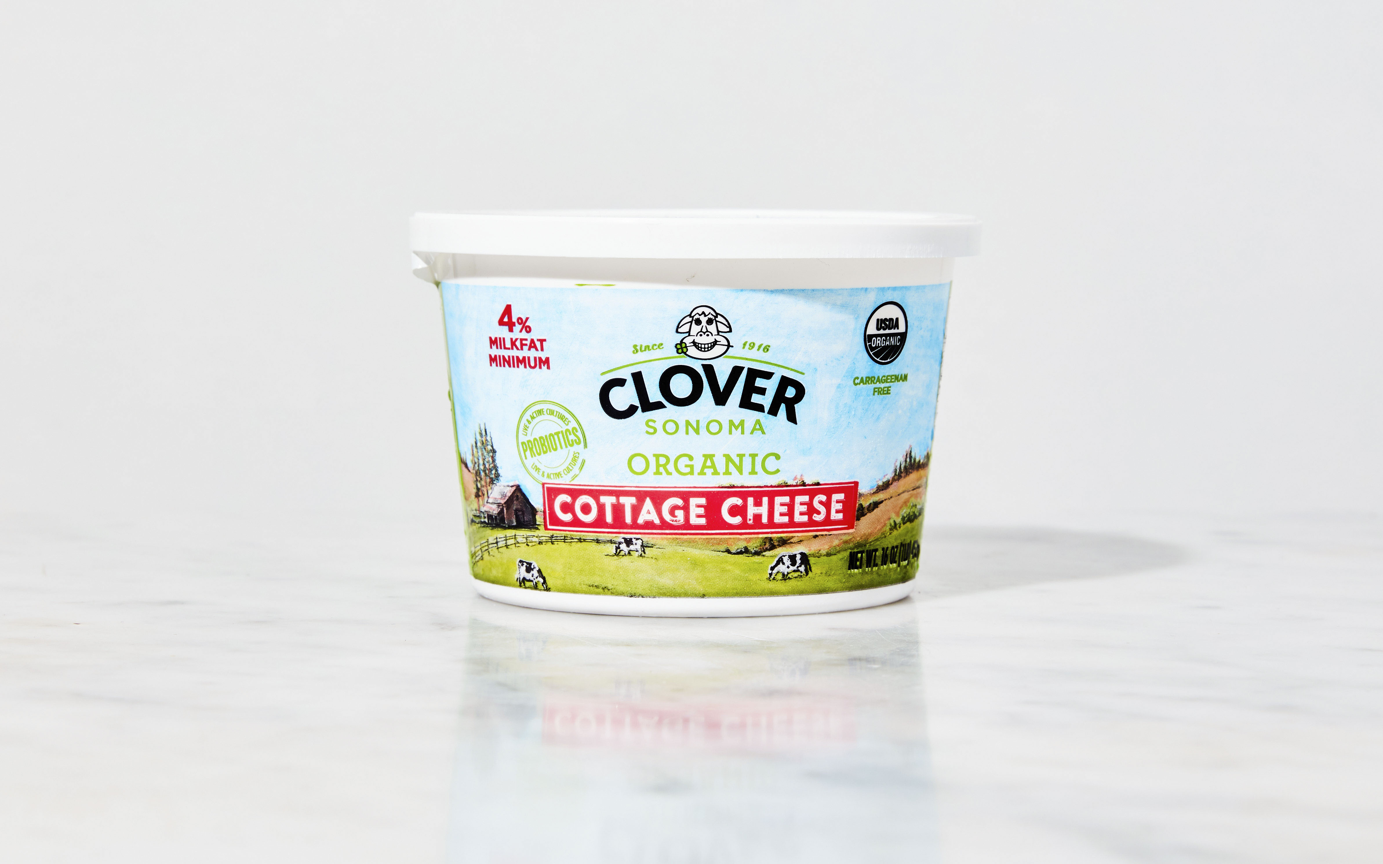 Organic Cottage Cheese | 16 oz | Clover Sonoma | Good Eggs