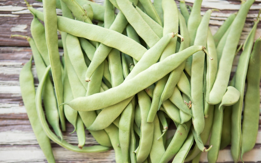 Organic Romano Beans | 1 lb | Lakeside Organic Gardens | Good Eggs