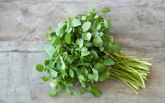 Organic Peppercress | 2 oz | County Line Harvest | Good Eggs