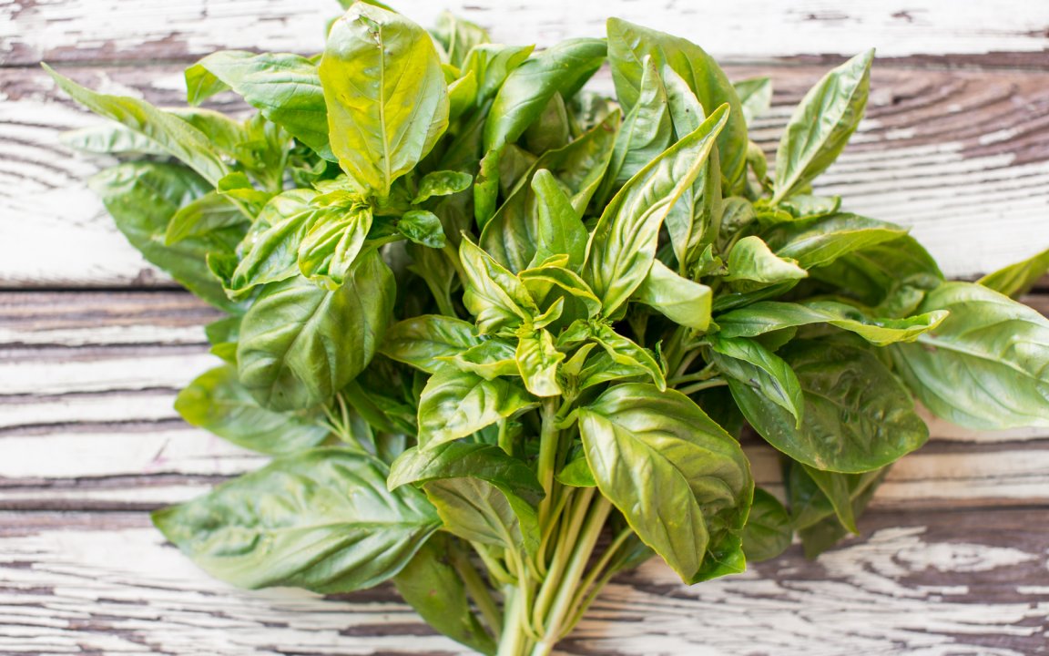 Organic Basil | Full Belly Farm