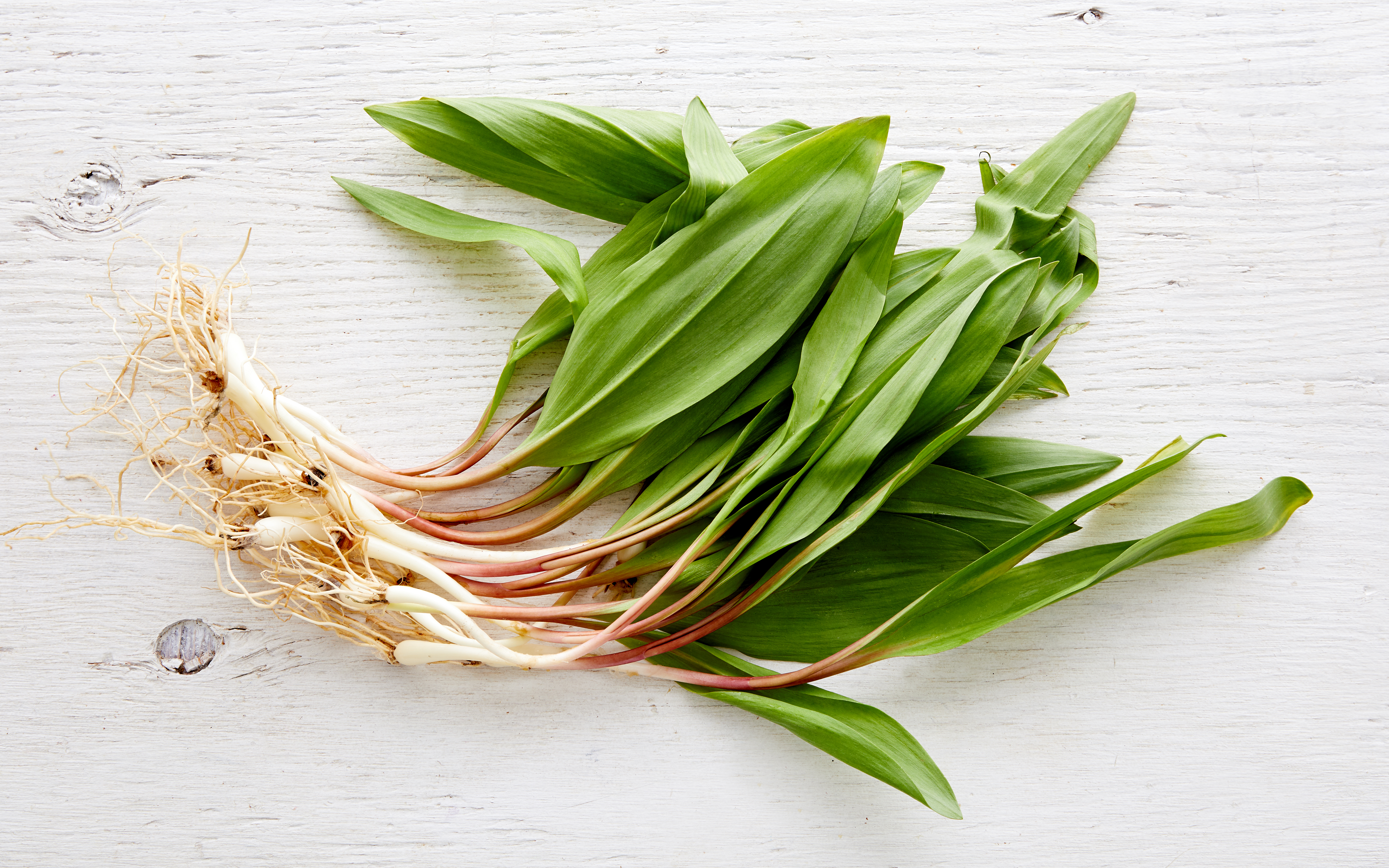 Foraged Ramps | 0.25 lb | Wine Forest | Good Eggs