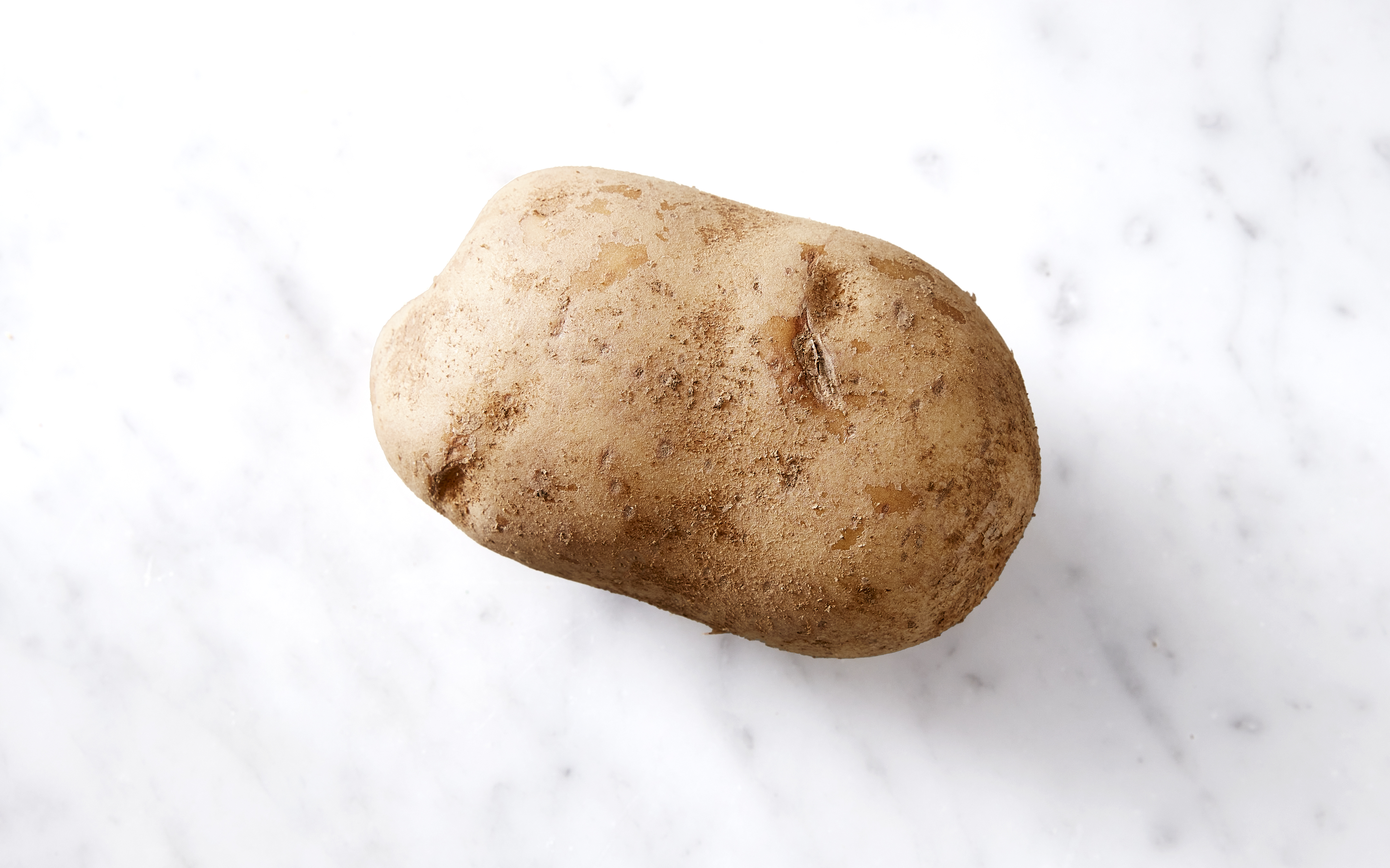 Organic Russet Potato | 1 count | From Our Farmers | Good Eggs