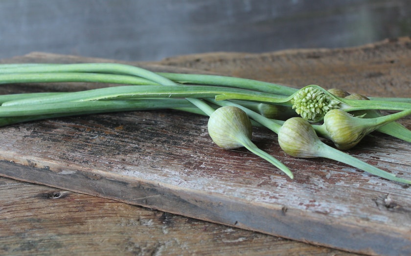 Organic Garlic Scapes | 1 bunch | F.E.E.D. Sonoma | Good Eggs