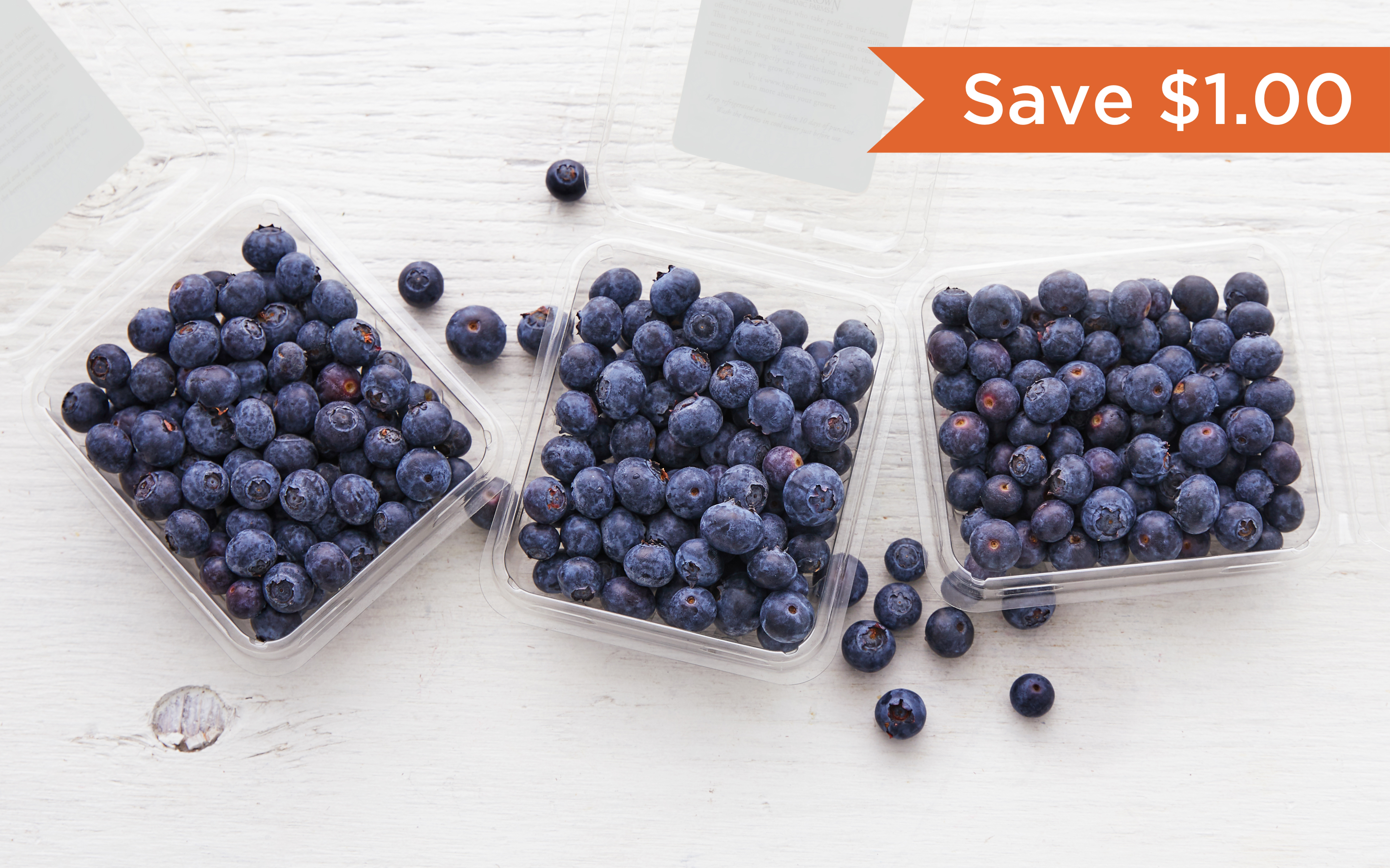 Organic Blueberry 3-Pack | 18 oz | Sierra Cascade Blueberry Farm | Good ...
