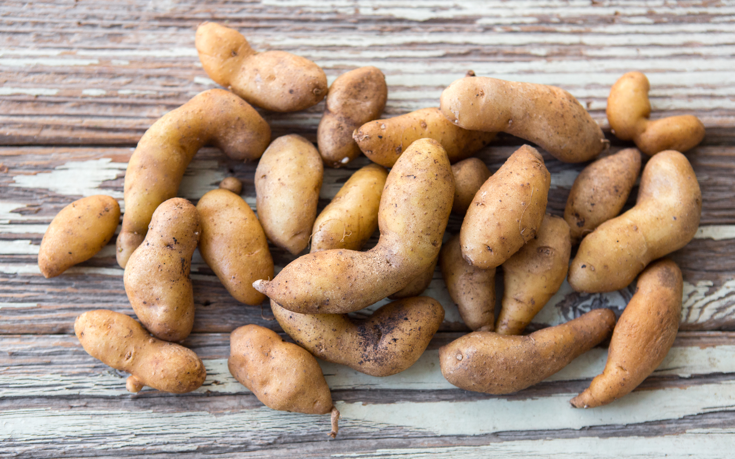 Austrian Crescent Fingerling Potatoes | 1 lb | Martin Bournhonesque ...