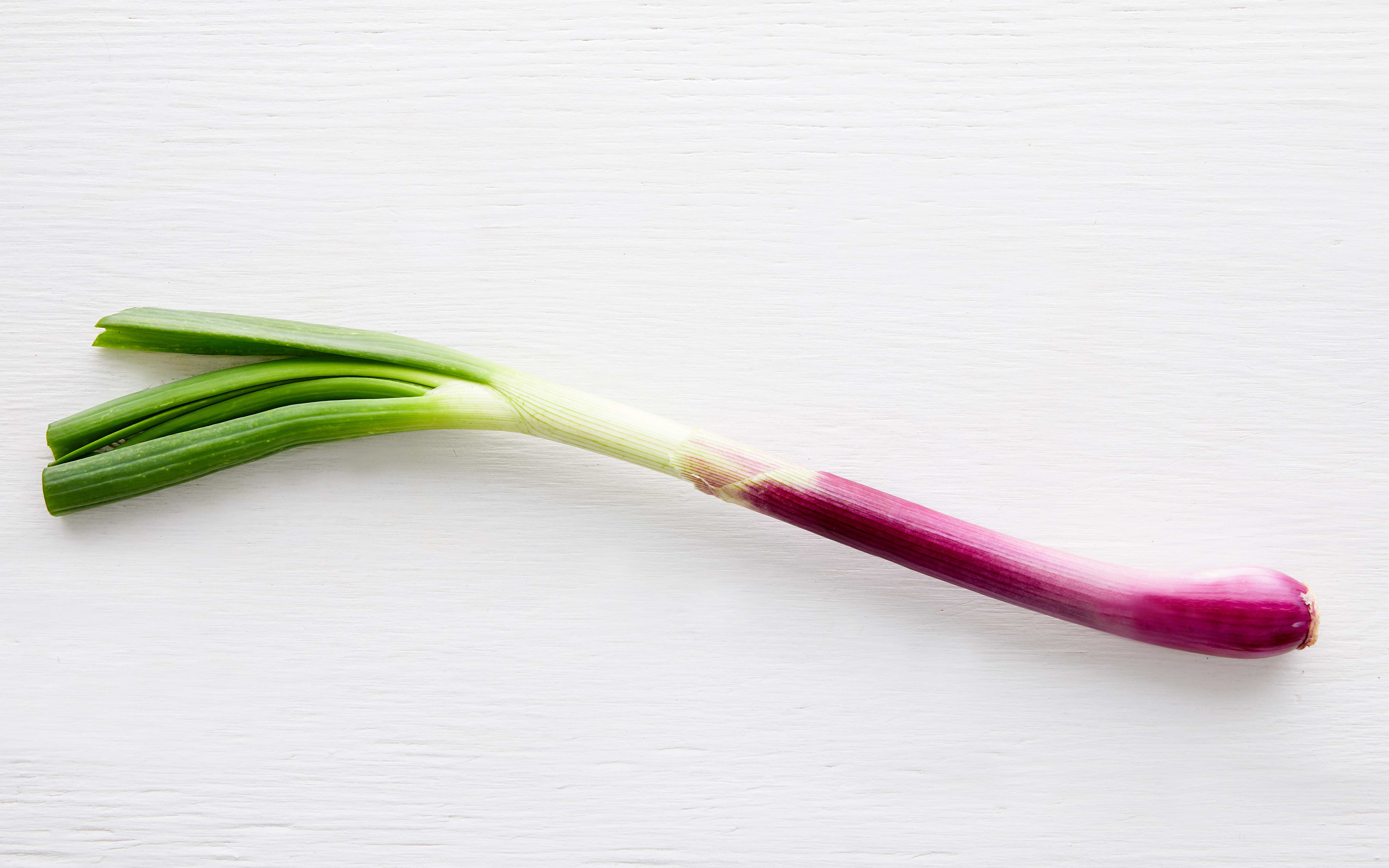 Organic Red Spring Onion | 1 count | Blue House Farm | Good Eggs