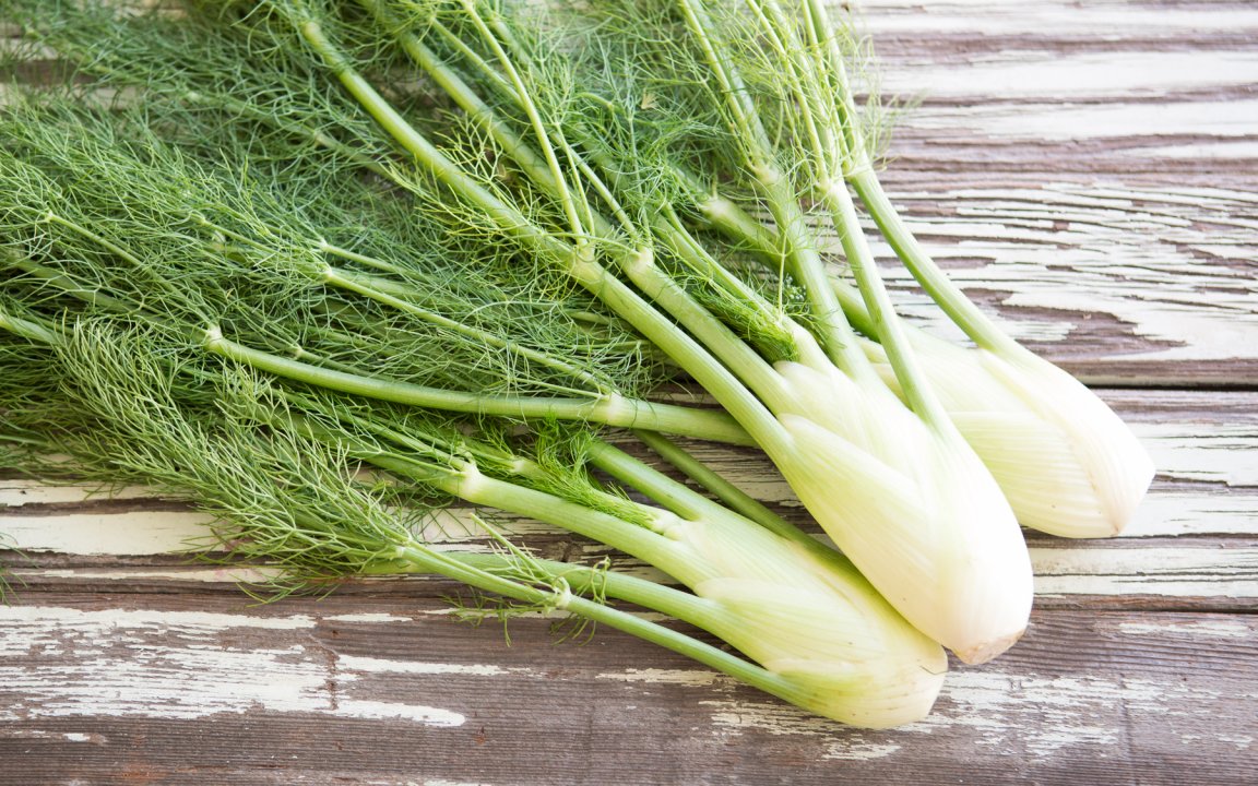 Organic Baby Fennel | 1 count | Brisa Ranch | Good Eggs