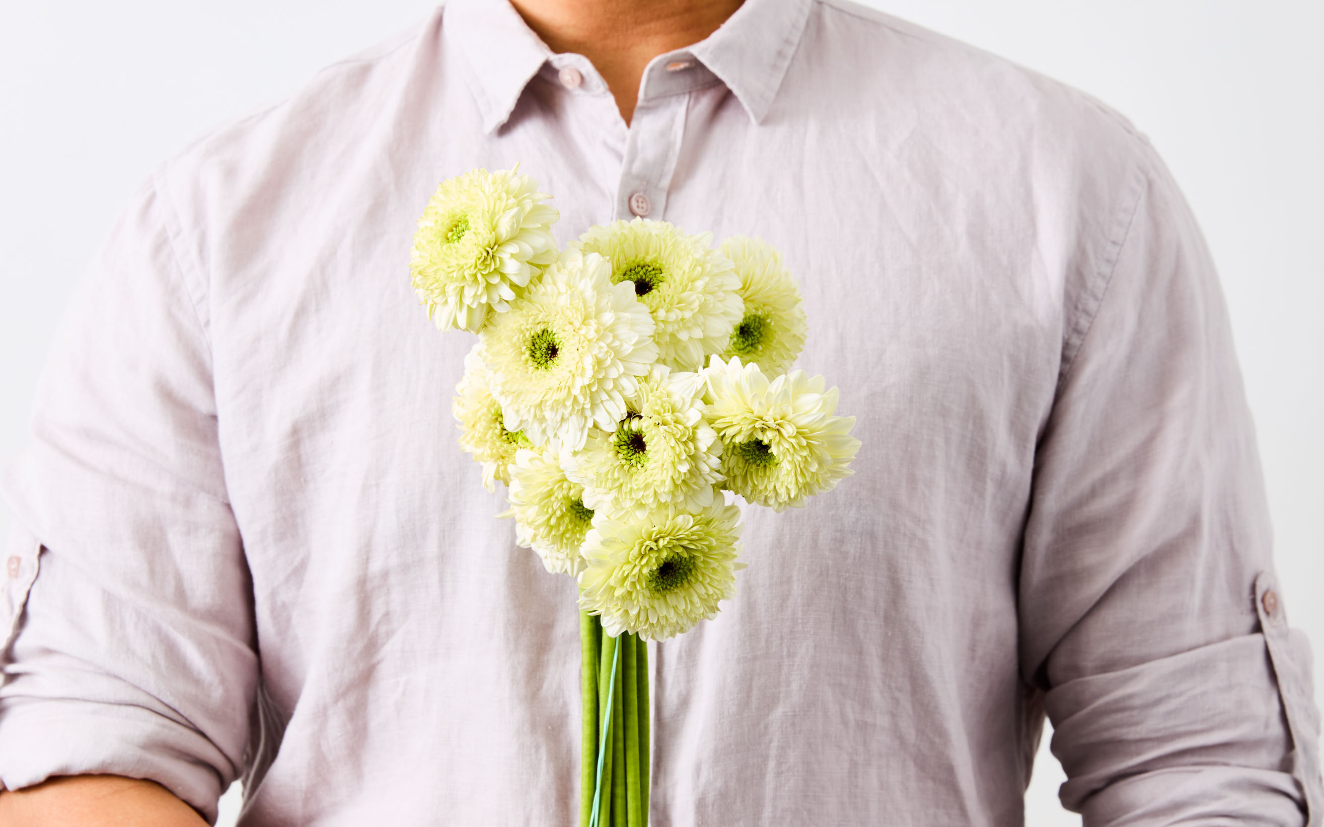 White Gerrondos Daisy | 1 bunch | Green Valley Floral | Good Eggs
