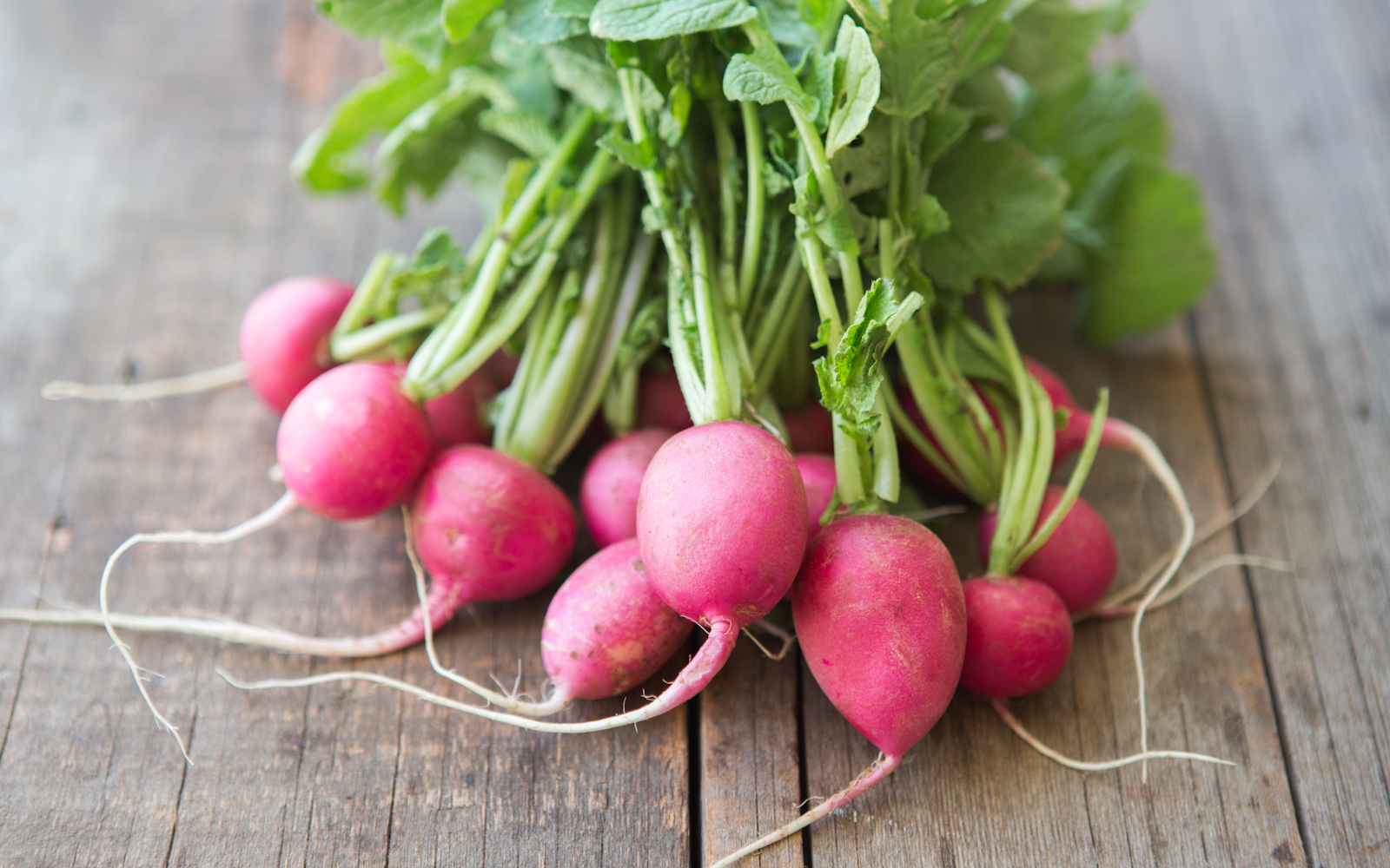 Organic Pink Beauty Radishes | 1 bunch | Brisa Ranch | Good Eggs