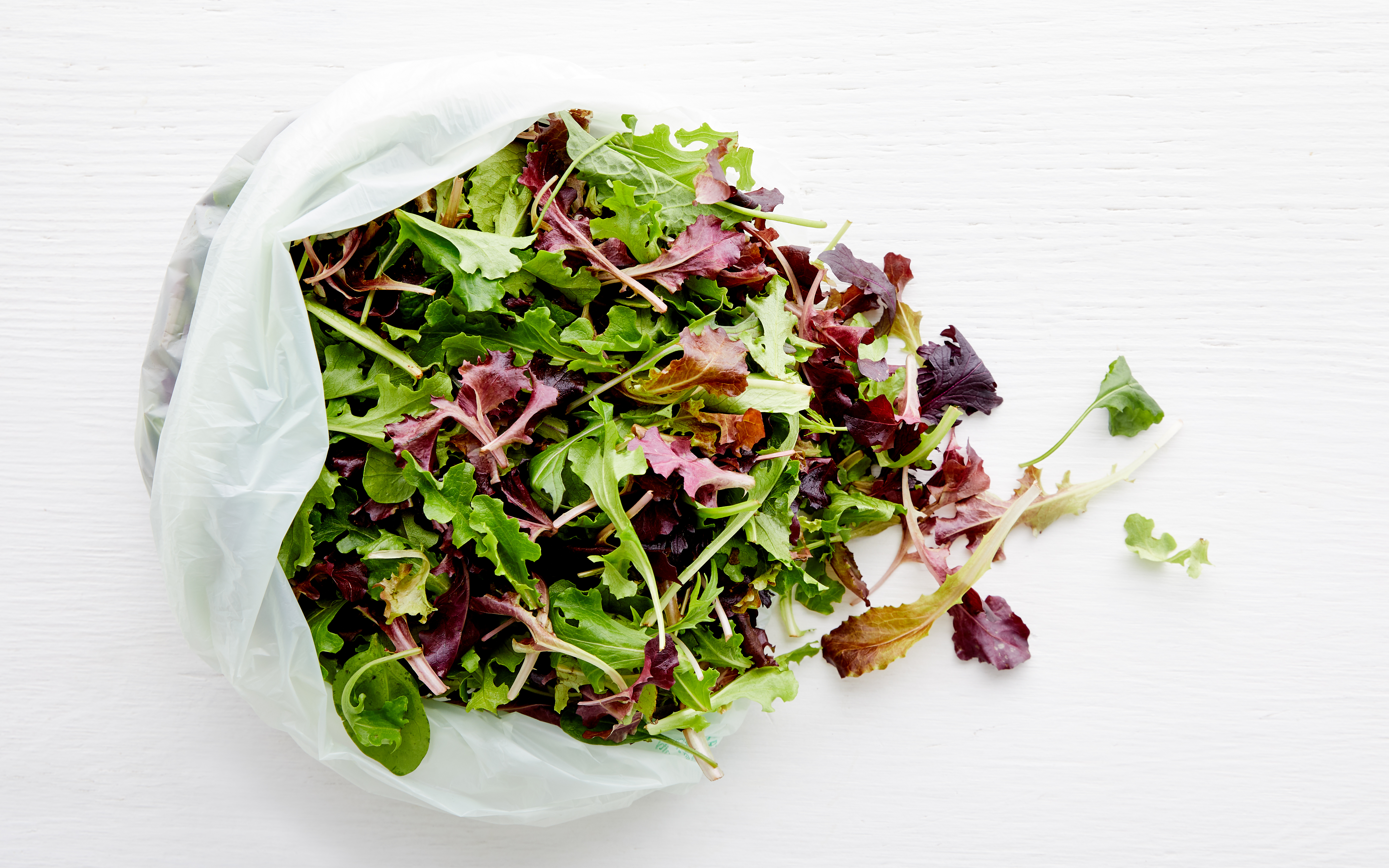 Pre-Washed Organic Salad Mix | 0.5 lb | Jayleaf | Good Eggs