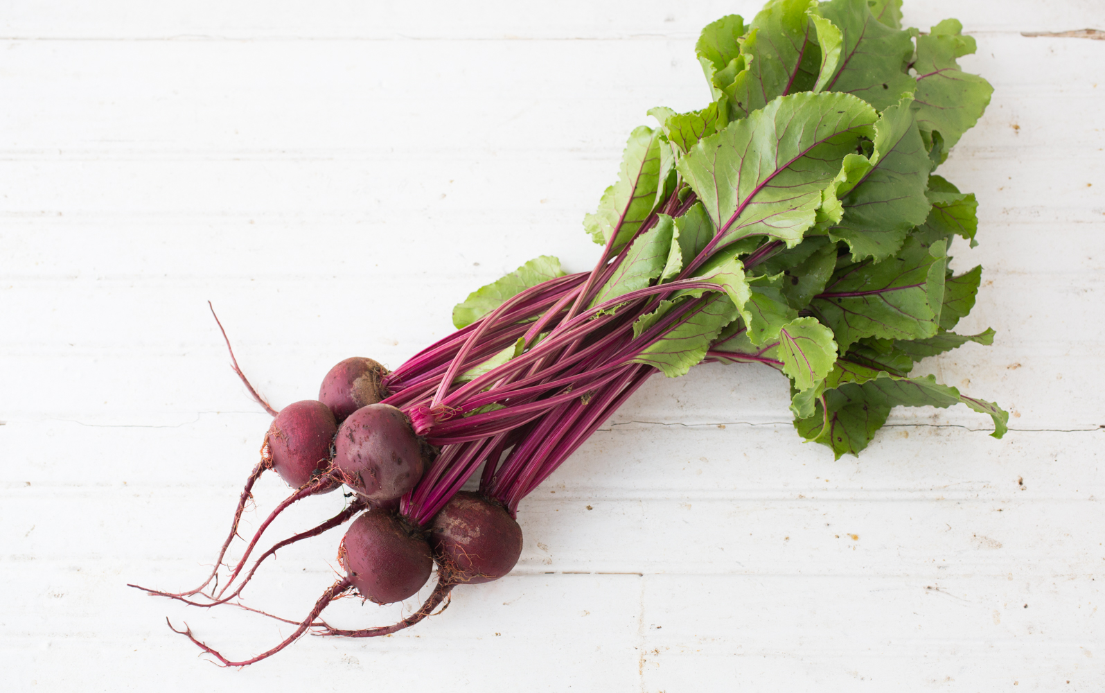 Organic Bunched Red Beets | 1 bunch | Road 20 Farms | Good Eggs