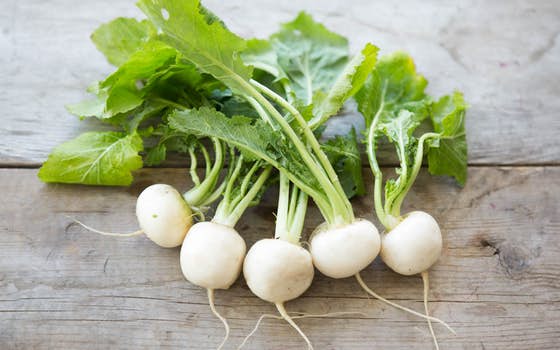 Organic Baby White Turnips | 1 bunch | Road 20 Farms | Good Eggs