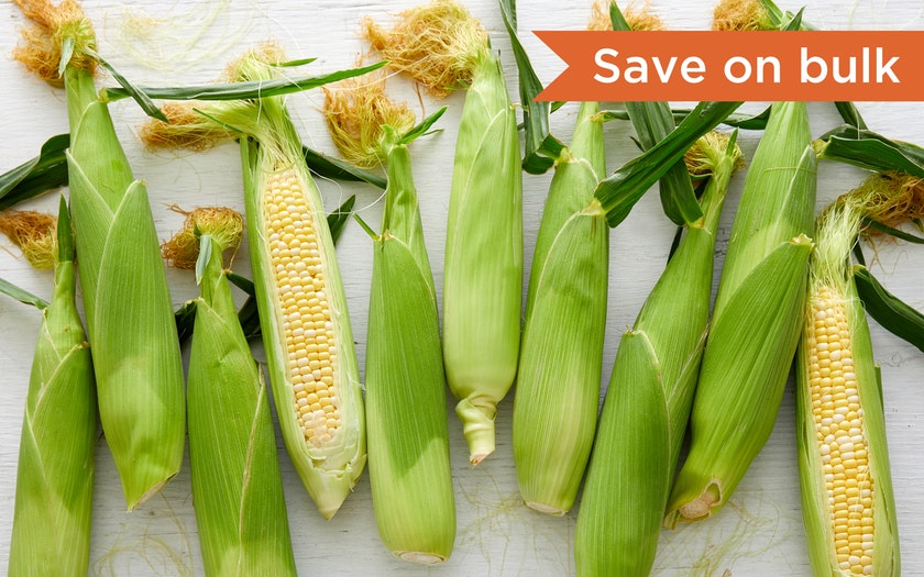 Bulk Organic Bi-Color Corn | 10 count | Dwelley Farms | Good Eggs