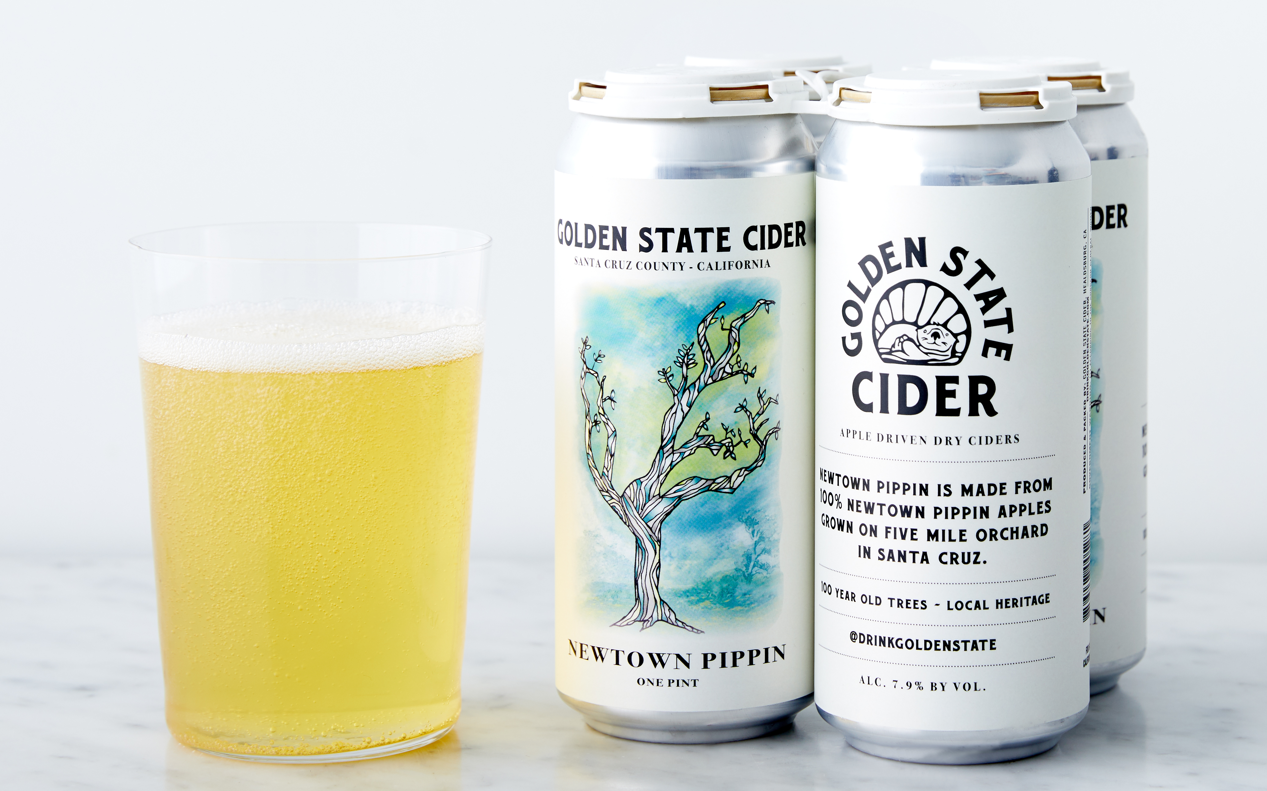 Newton Pippin Hard Cider | 4 count | Golden State Cider | Good Eggs