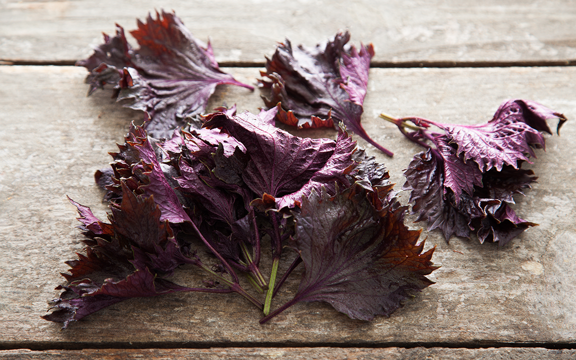 Red Shiso Leaves