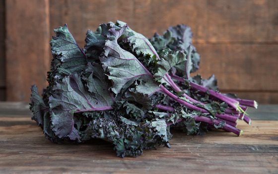Organic Redbor Kale | 1 bunch | Tomatero Farm | Good Eggs