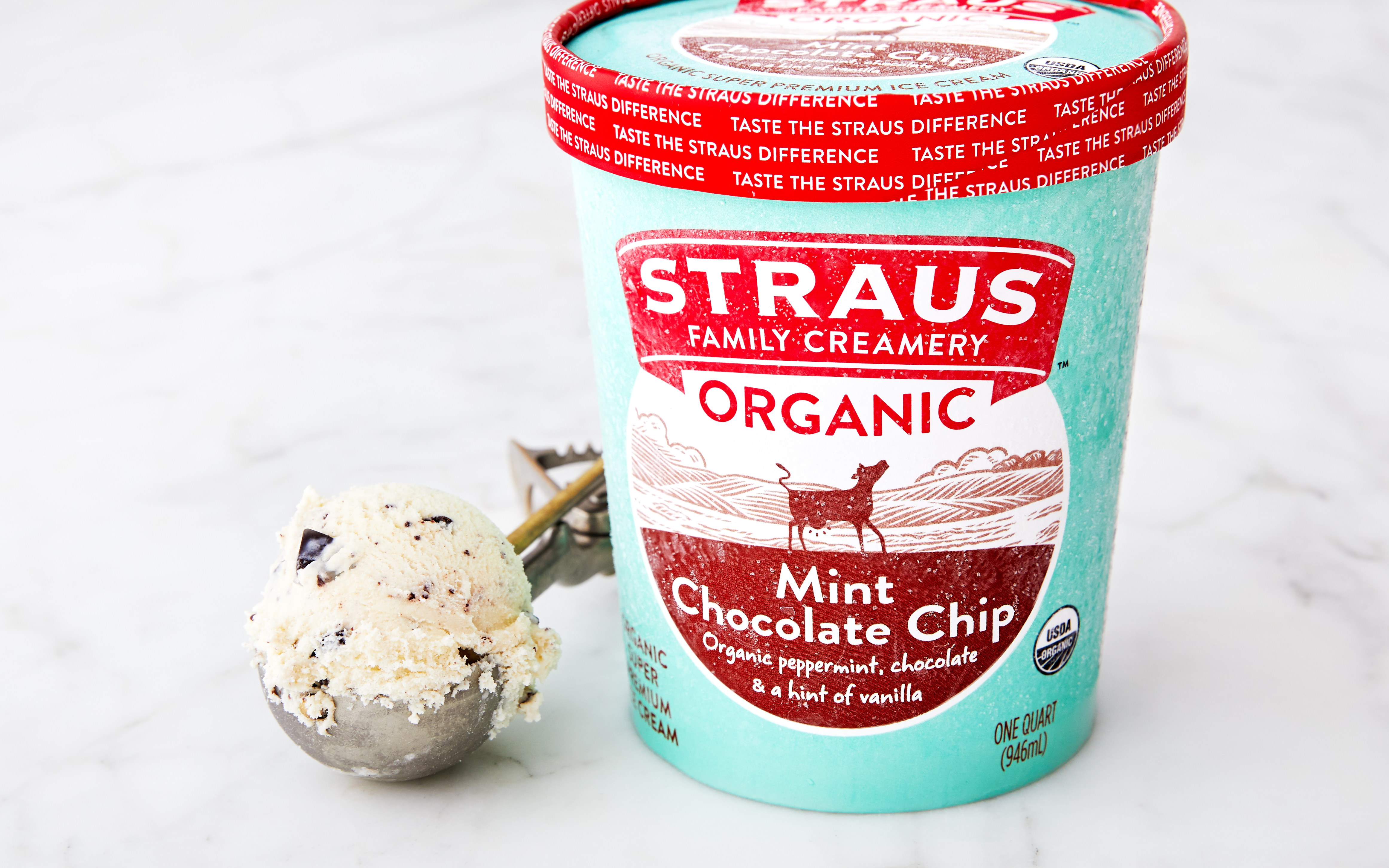 Organic Mint Chocolate Chip Ice Cream | 1 count | Straus Family ...