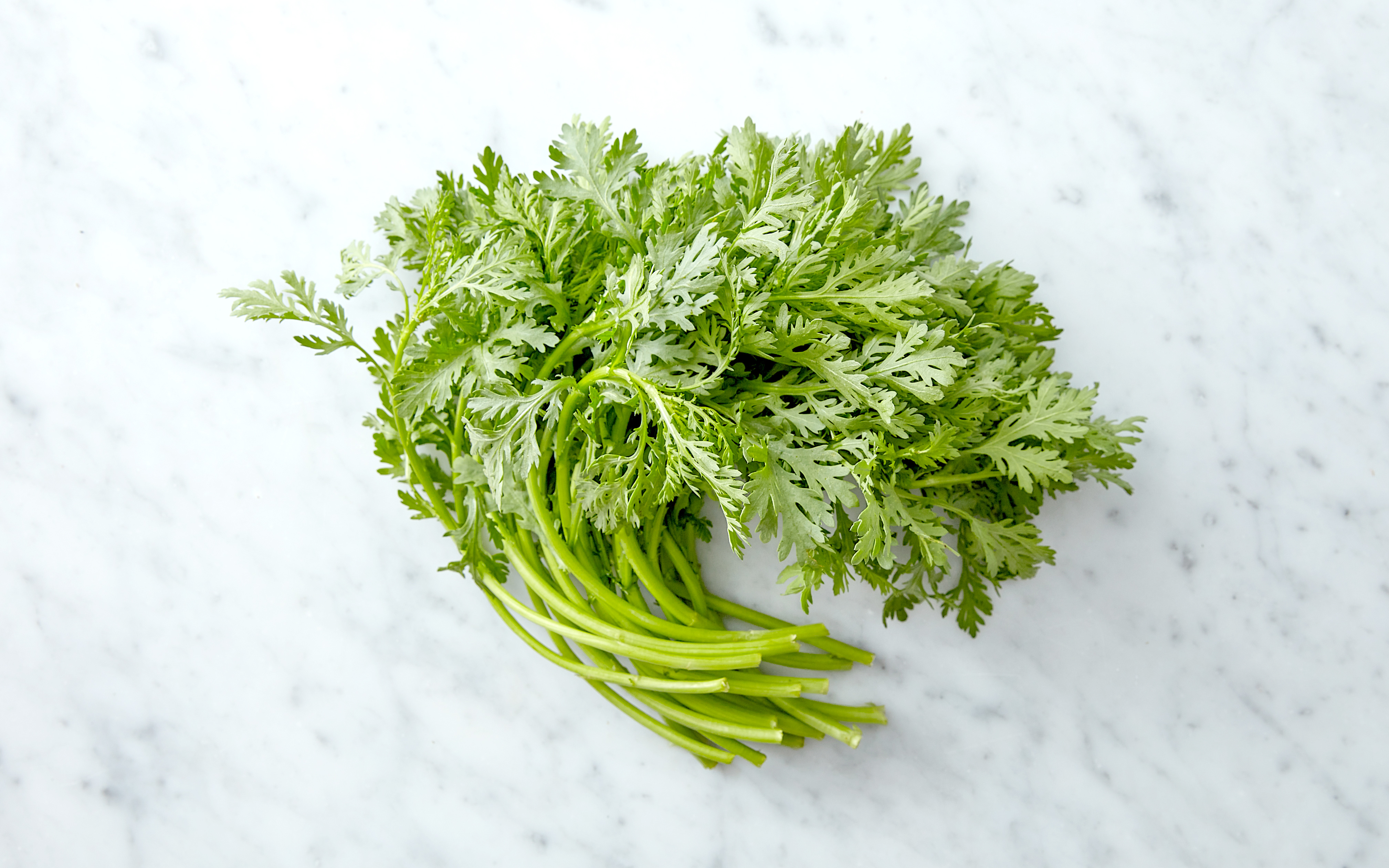 Organic Shungiku | 1 bunch | Hikari Farms | Good Eggs