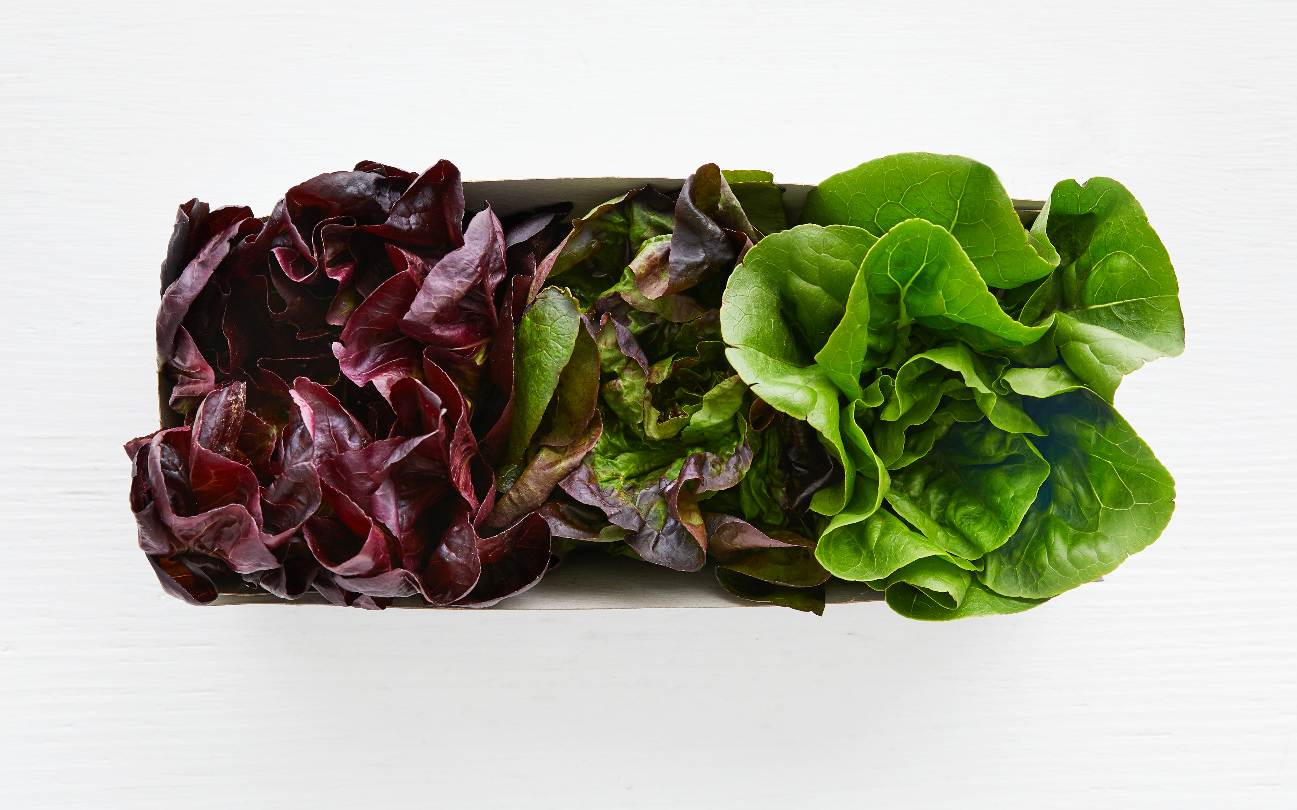 Organic Salanova Lettuce Trio | 3 count | Sunrise Organic Farms | Good Eggs