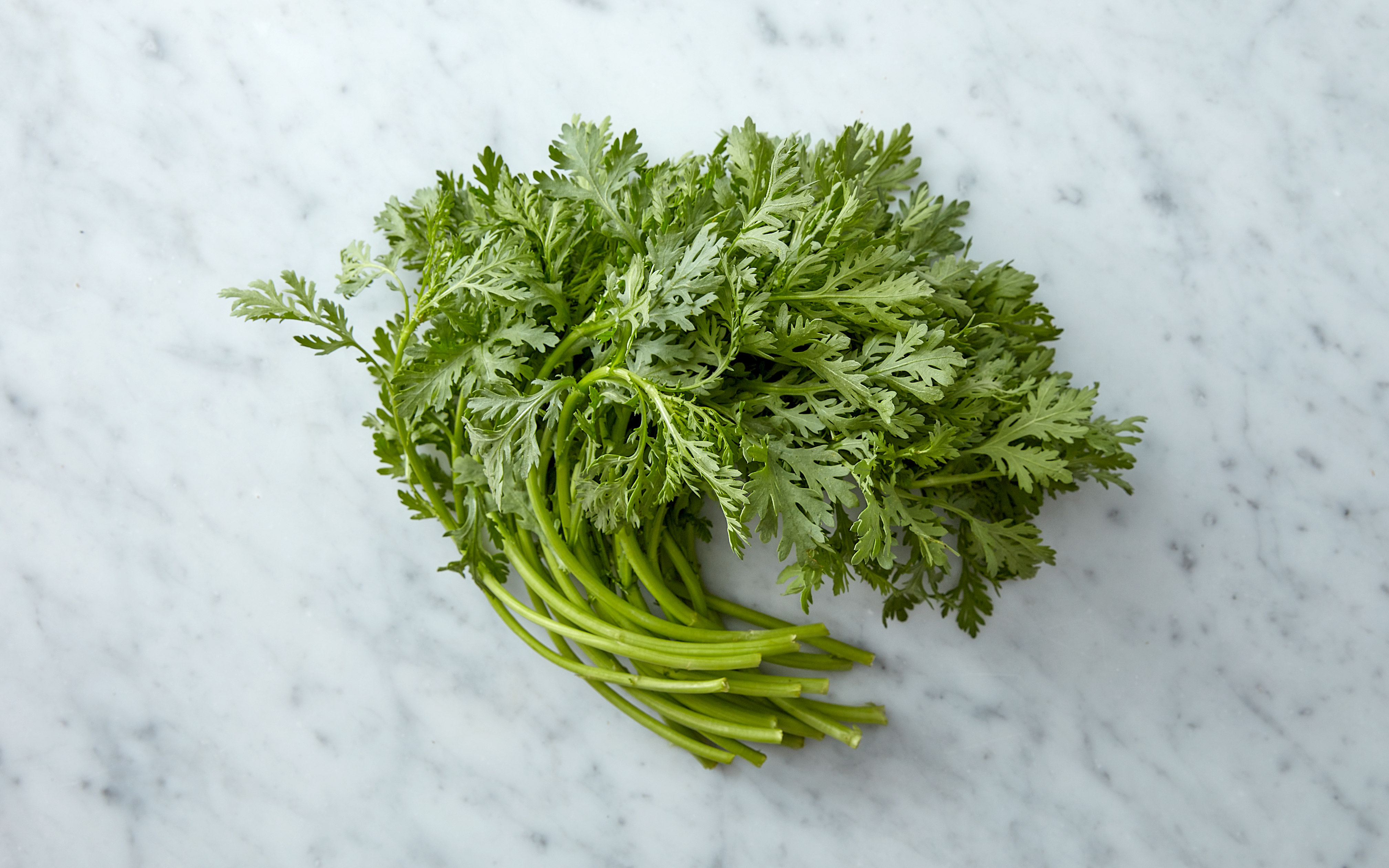 Organic Shungiku - Hikari Farms | Good Eggs