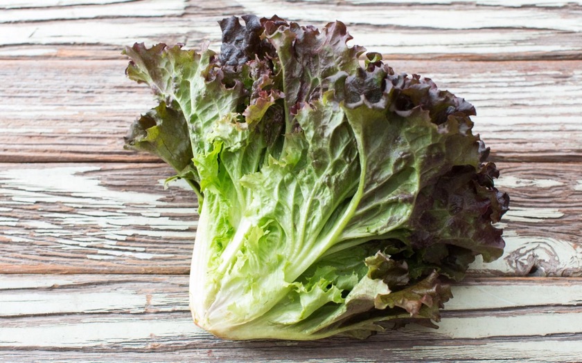 Organic Red Leaf Lettuce | 1 head | Coke Farms | Good Eggs