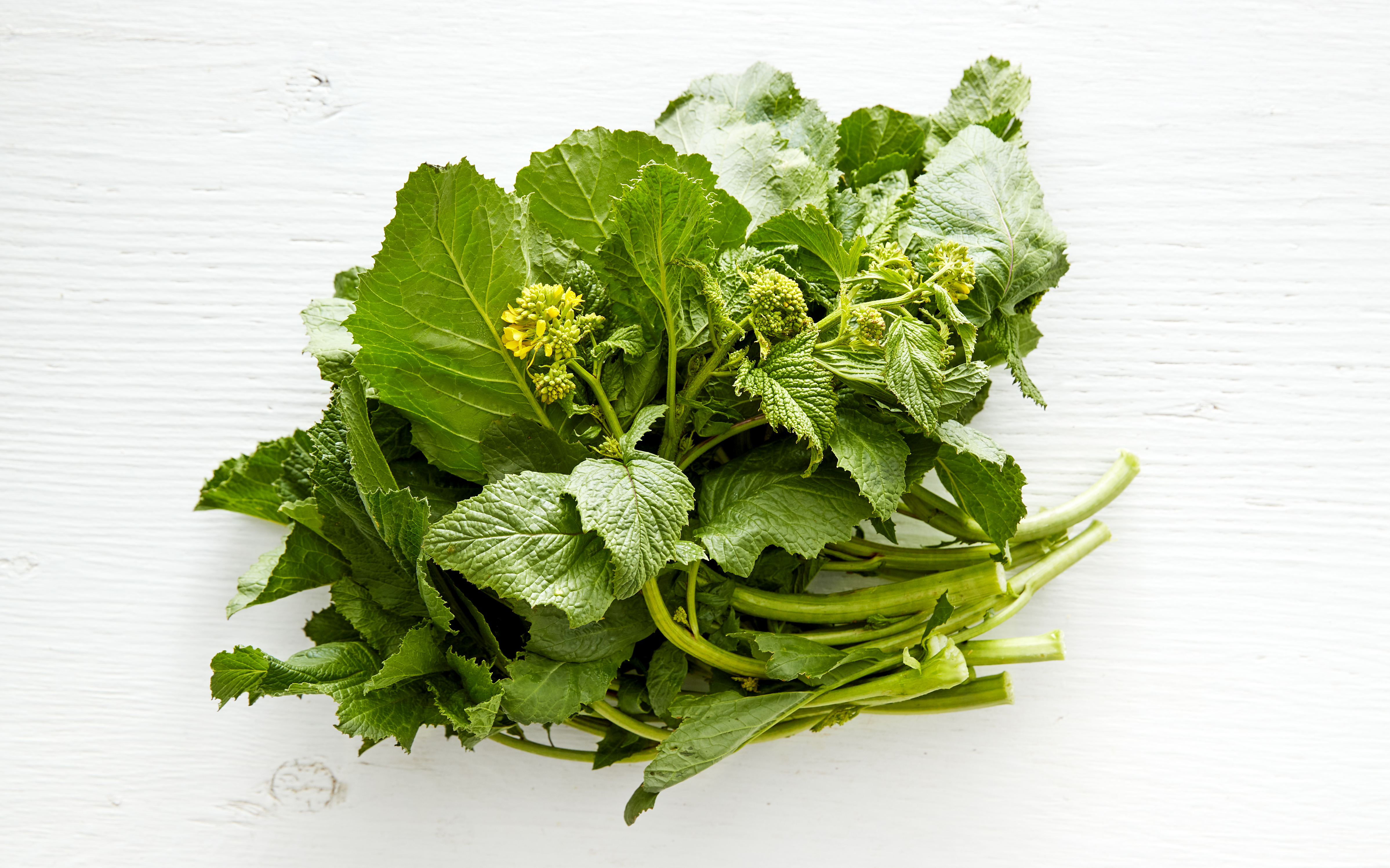 Organic Broccoli Rabe | 1 bunch | From Our Farmers | Good Eggs