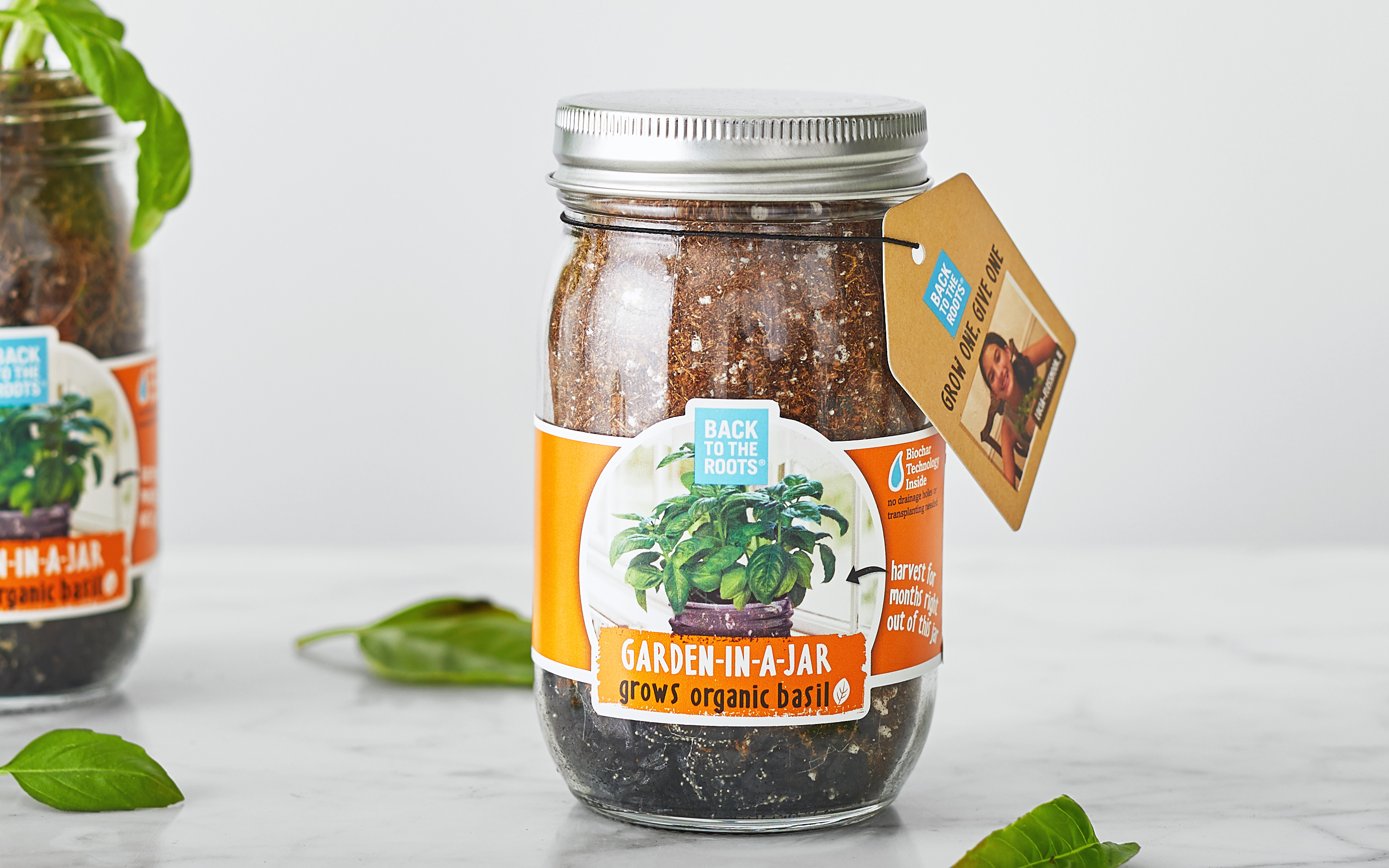 Garden-in-a-Jar Organic Basil Planter | 1 count | Back to the Roots ...