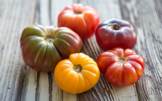 Organic & Fair Trade Mixed Heirloom Tomatoes (Mexico) | 1.5 lb ...