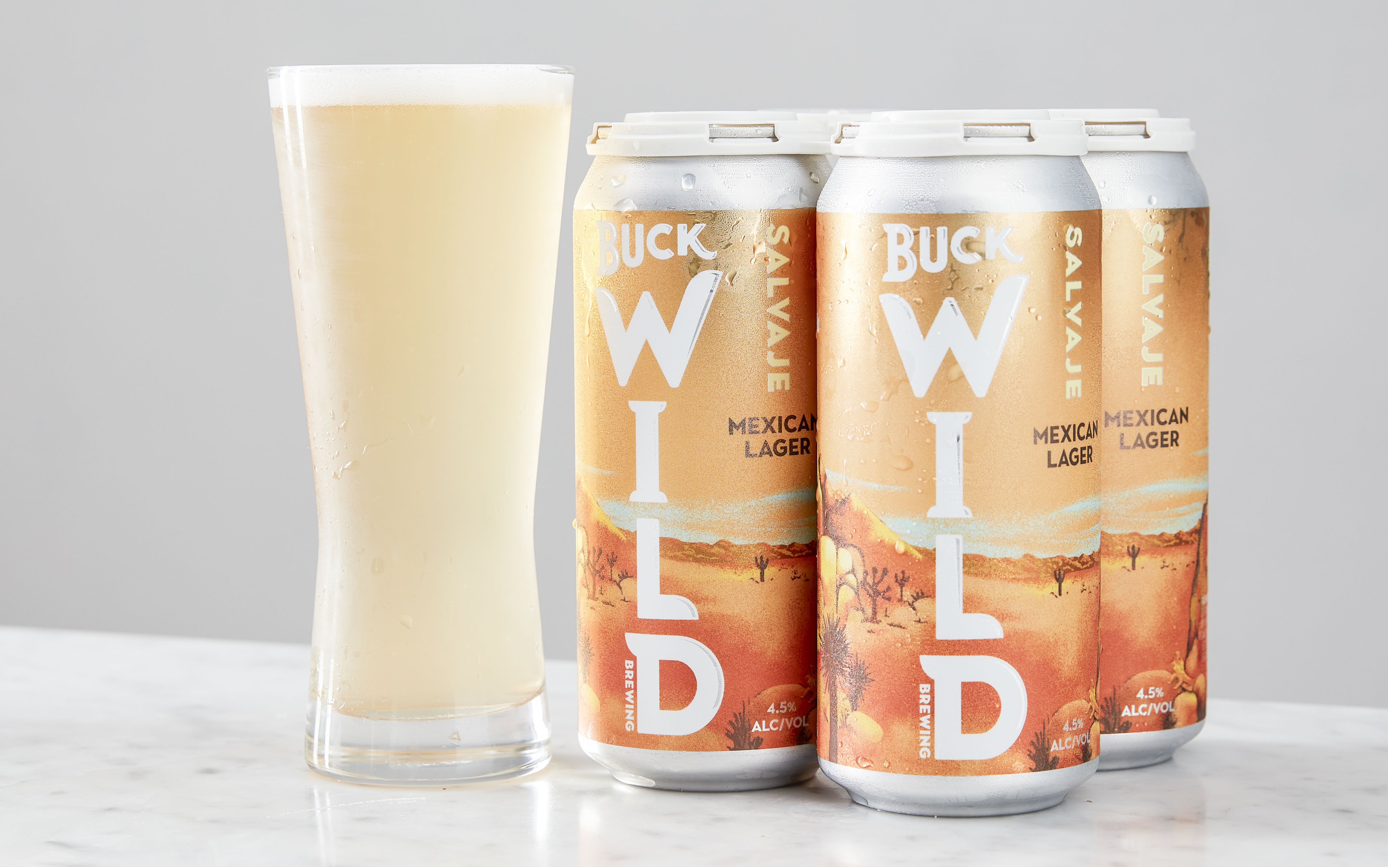 Salvaje Gluten-Free Mexican Lager | 4 count | Buck Wild Brewing | Good Eggs