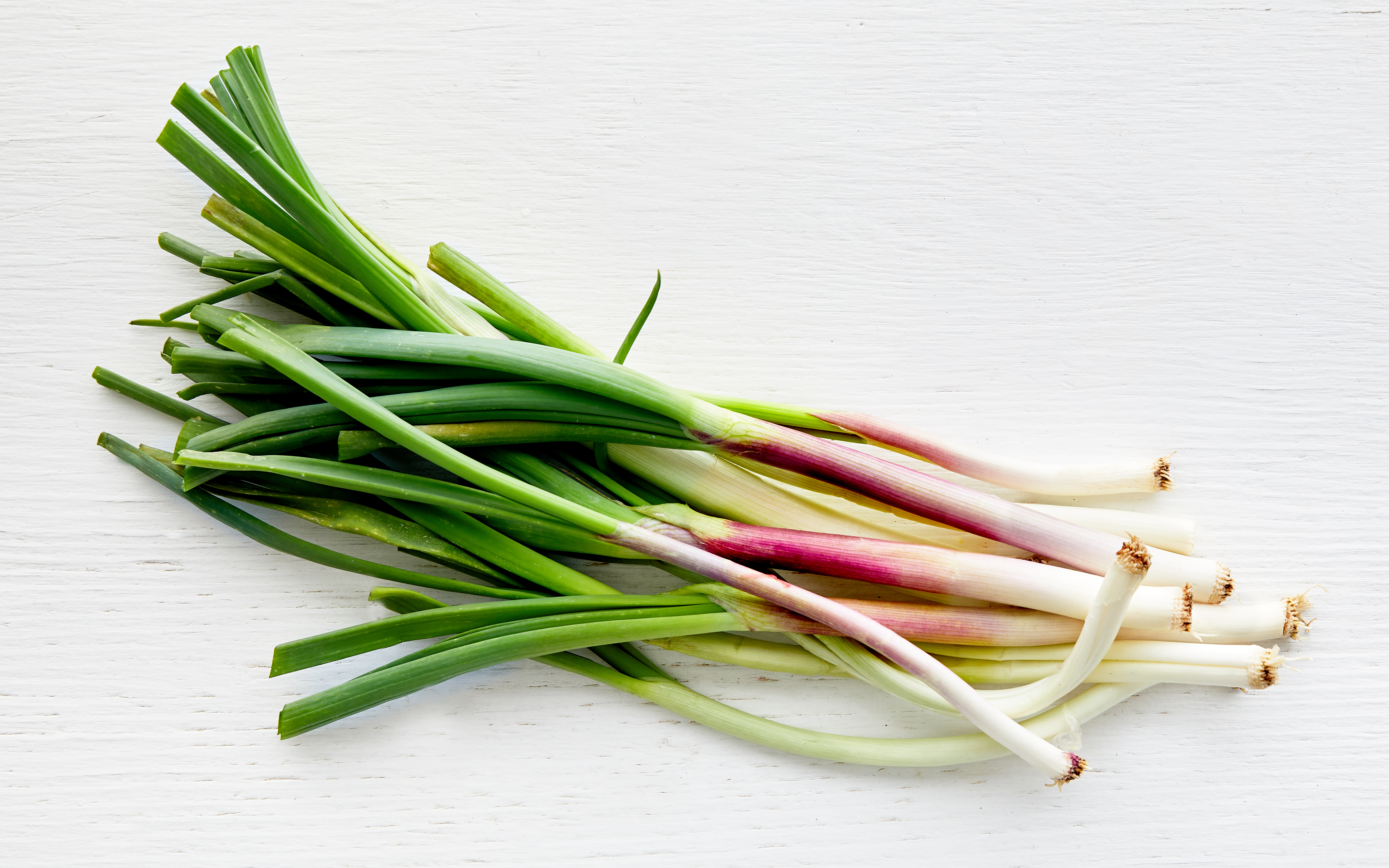 Organic Red Spring Onion | 1 bunch | Terra Firma Farm | Good Eggs