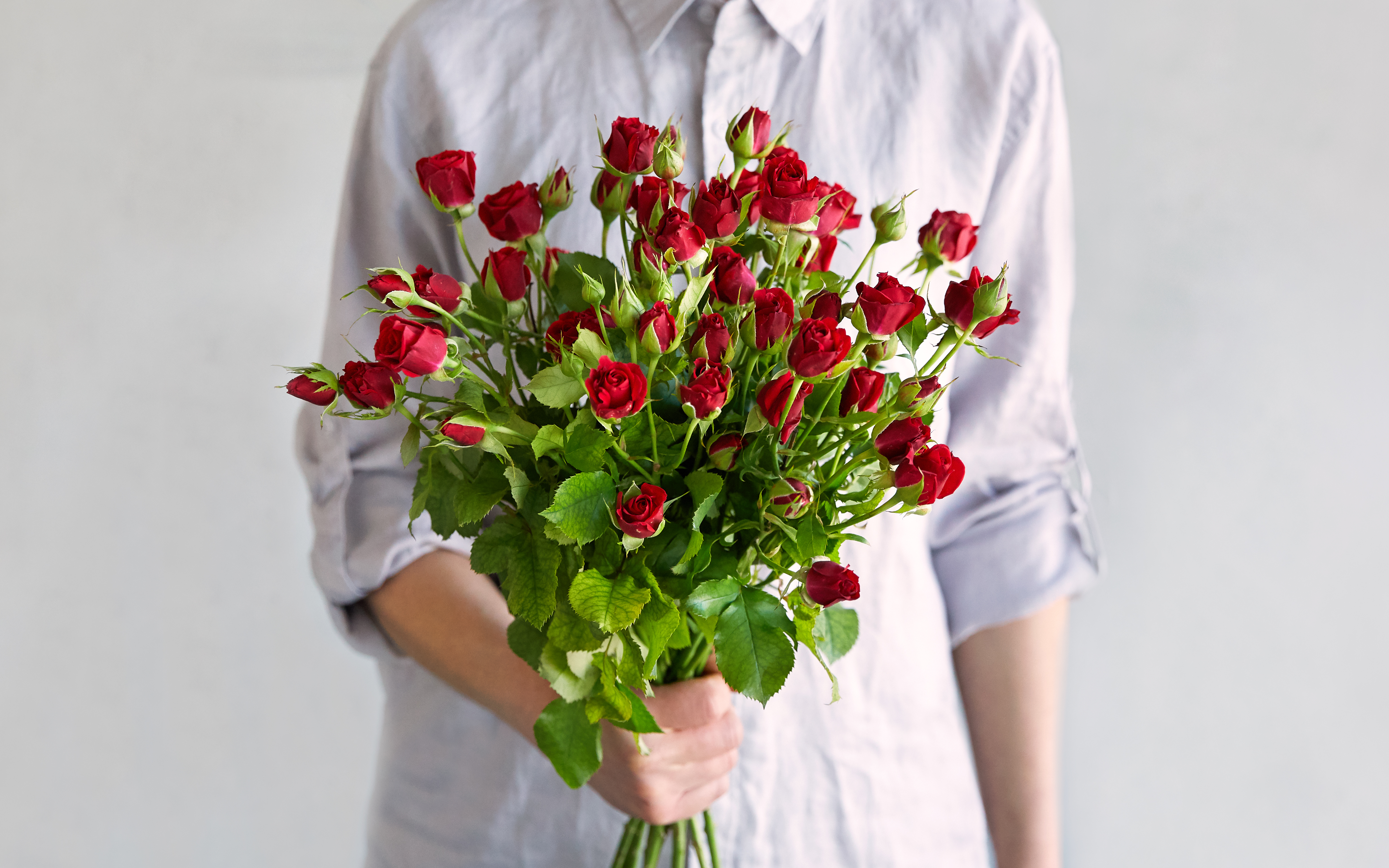 Crimson Spray Roses | 1 bunch | California Pajarosa Floral | Good Eggs