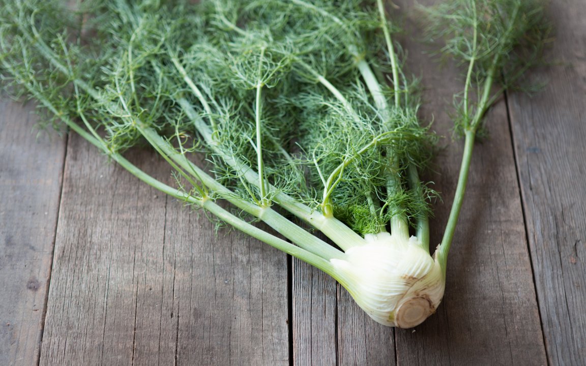 Organic Small Fennel Duo | 2 count | Capay Organic | Good Eggs