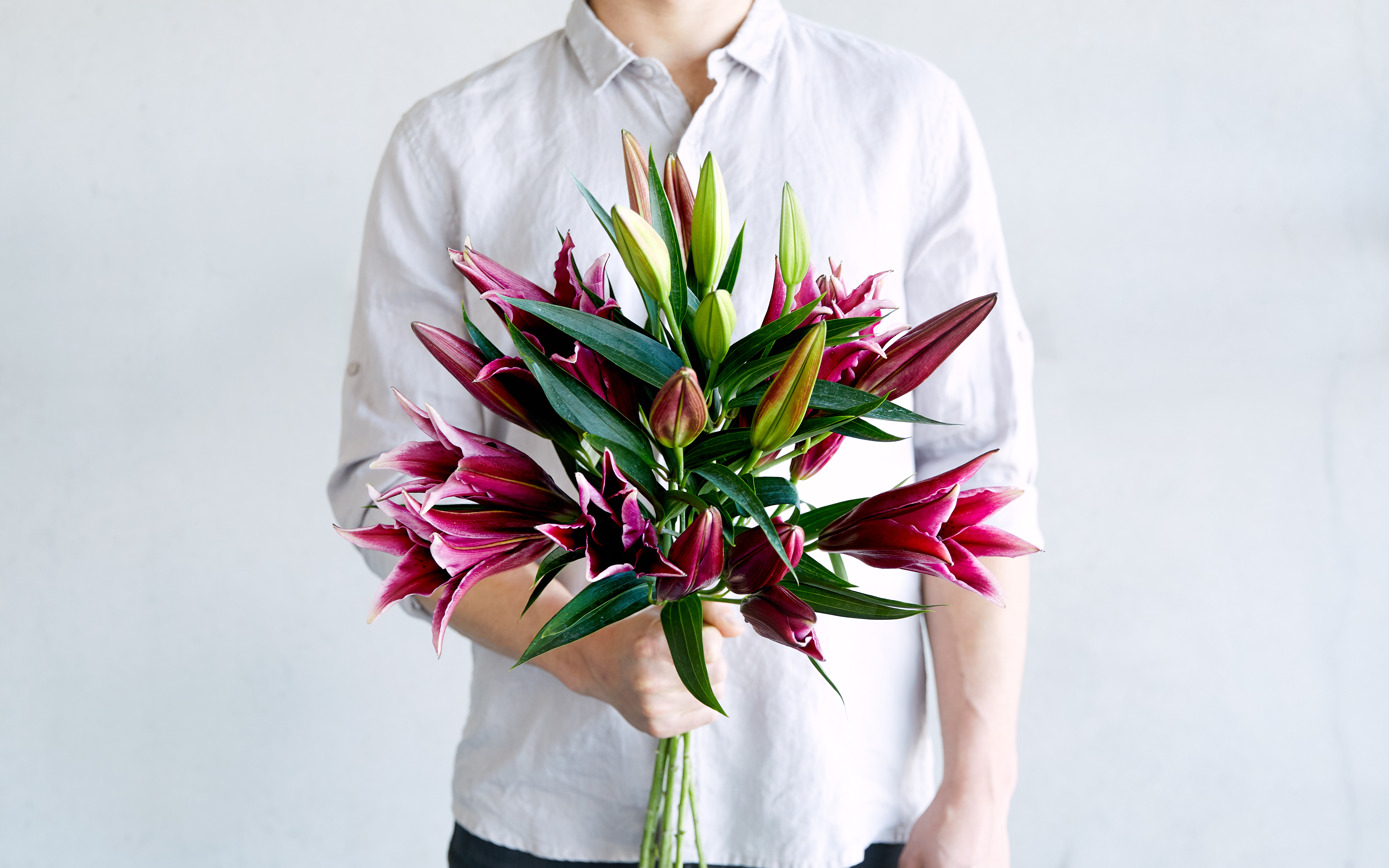 Firebolt Stargazer Lily | 1 bunch | Kitayama Brothers Farms | Good Eggs