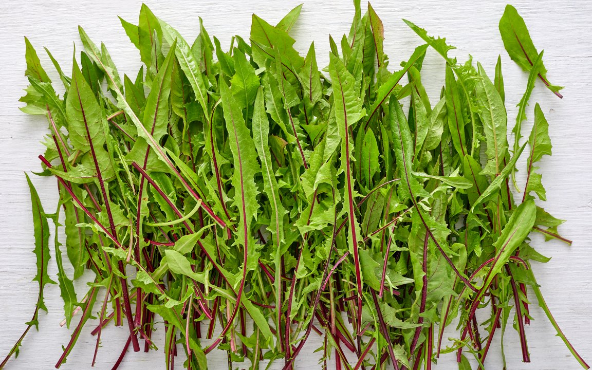 Organic Red Dandelion Greens | 1 bunch | From Our Farmers | Good Eggs