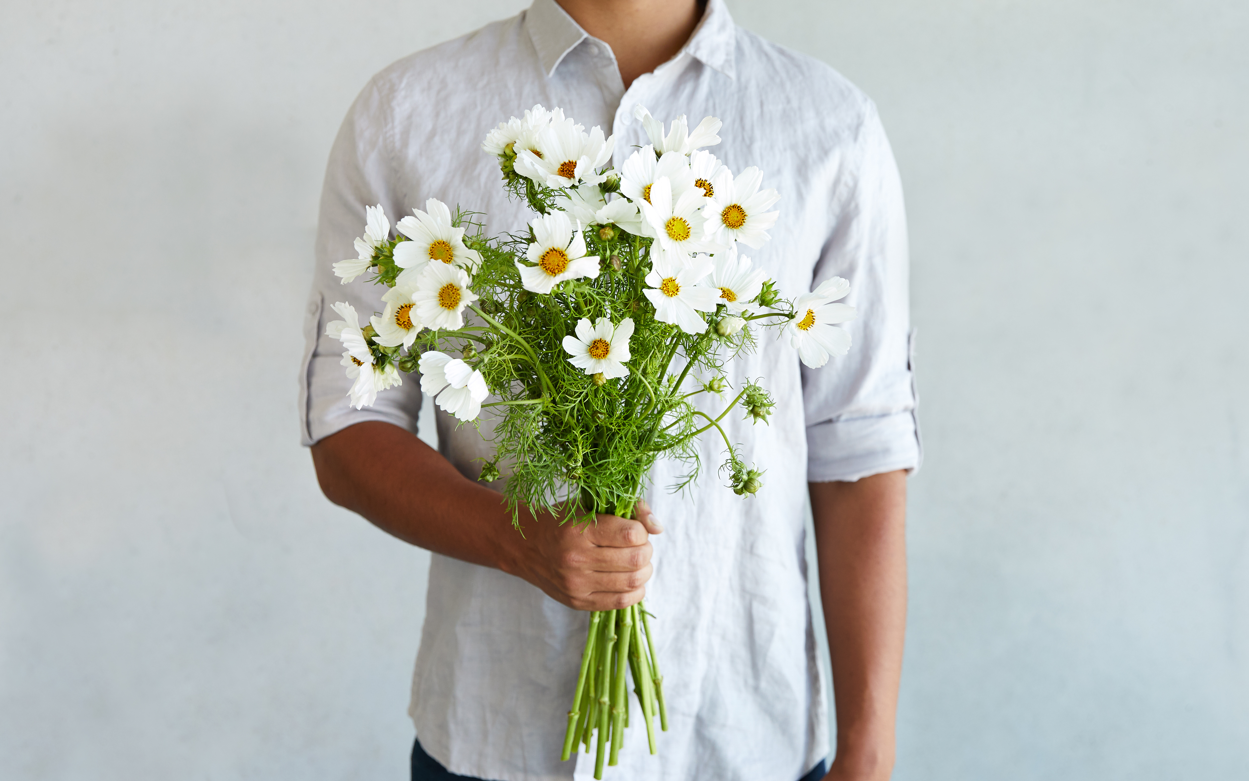 Organic White Cosmos | 1 bunch | Bluma Farm | Good Eggs