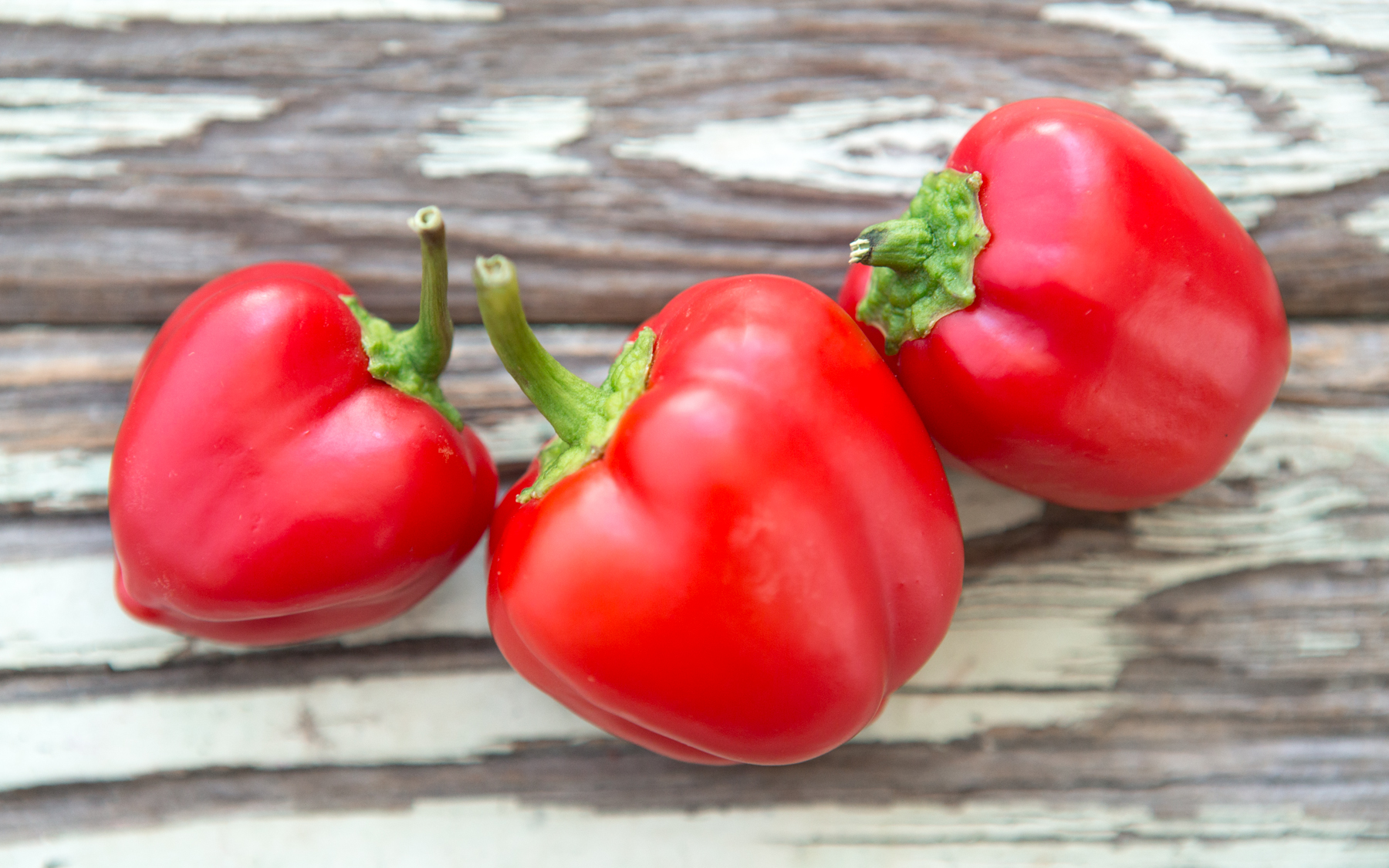 Organic Red Mini Tinkerbell Peppers | 0.5 lb | County Line Harvest ...