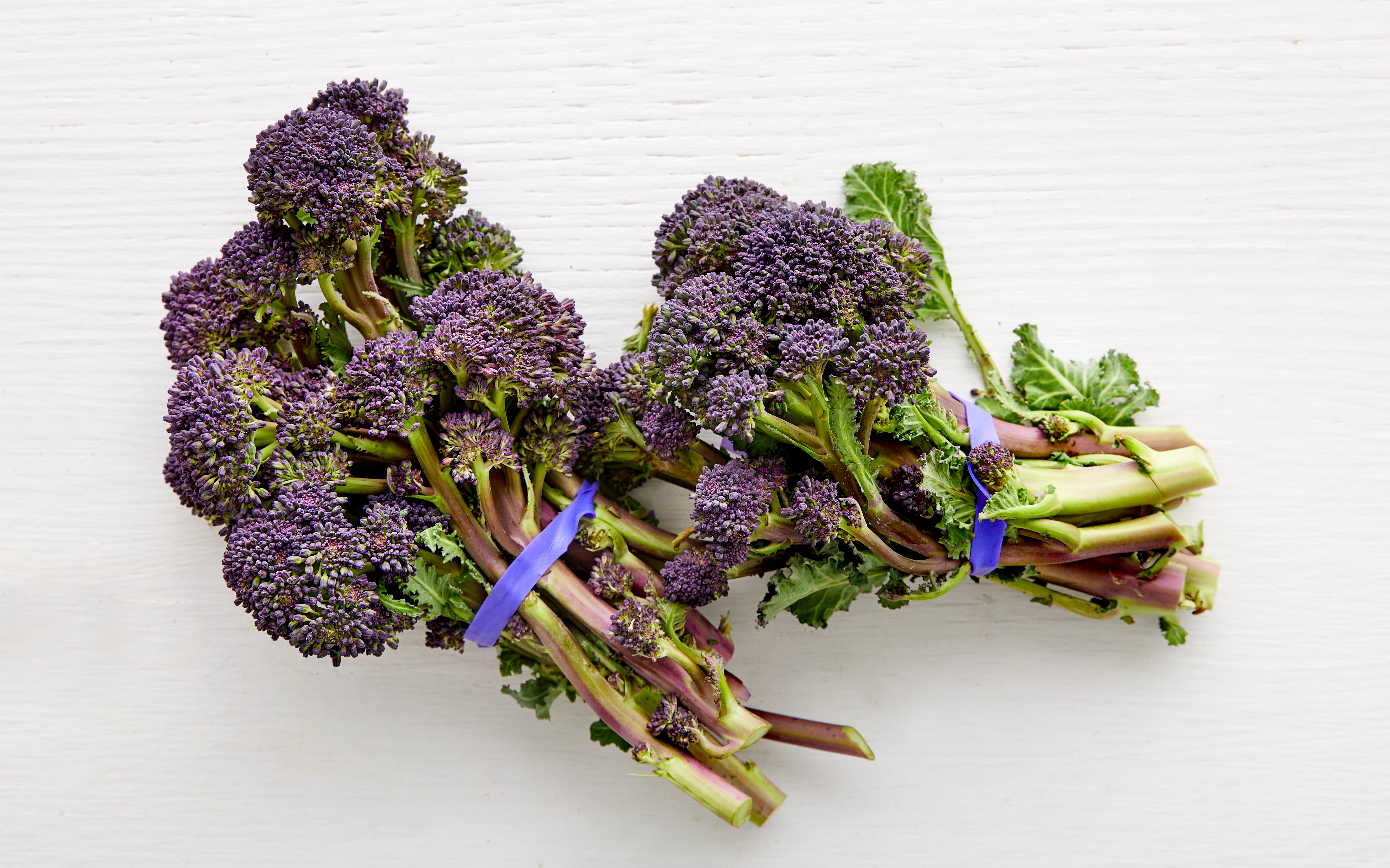 Organic Purple Baby Broccoli Trio | 3 bunch | Oya Organics | Good Eggs
