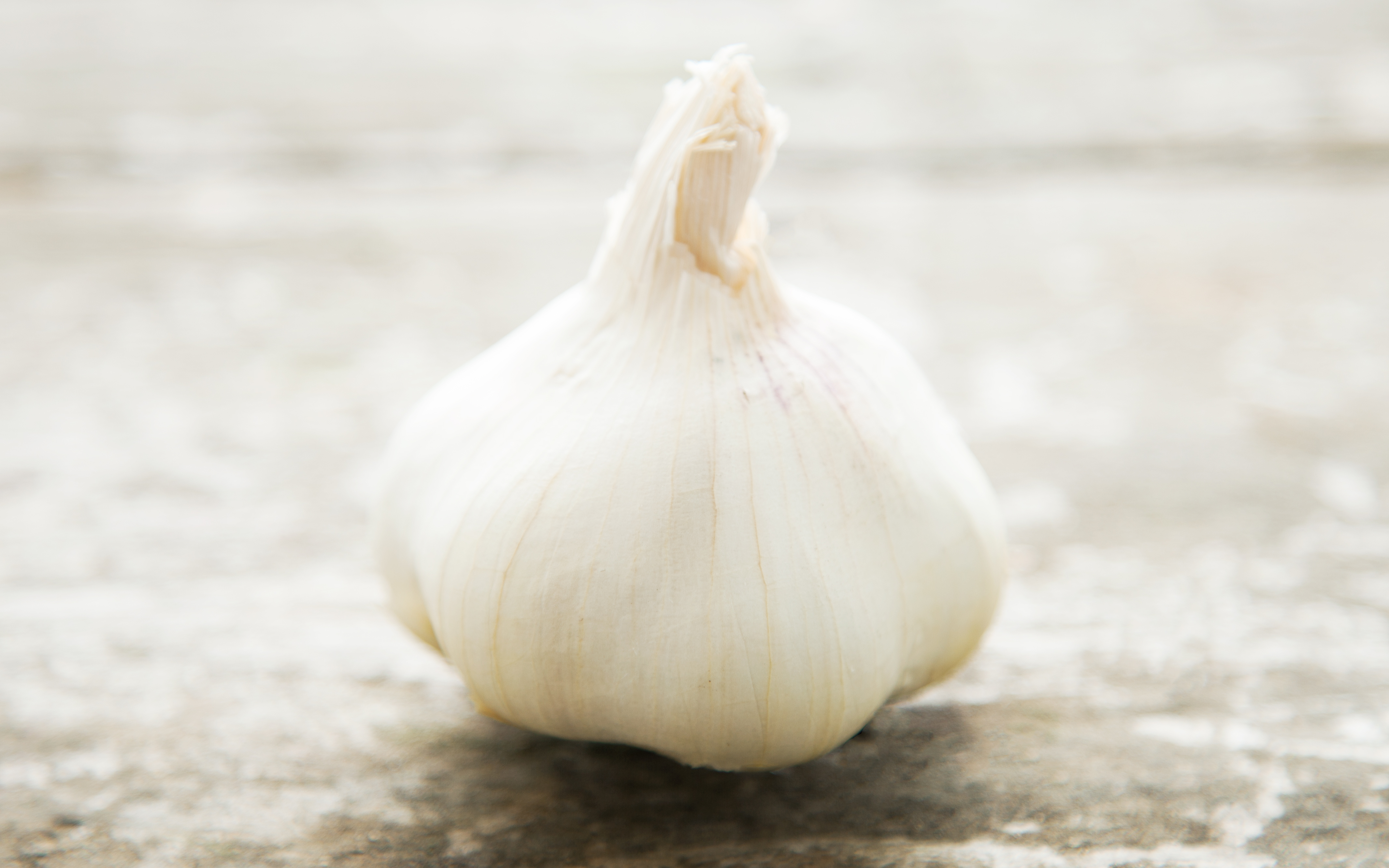 Organic Garlic | 1 count | Coke Farms | Good Eggs