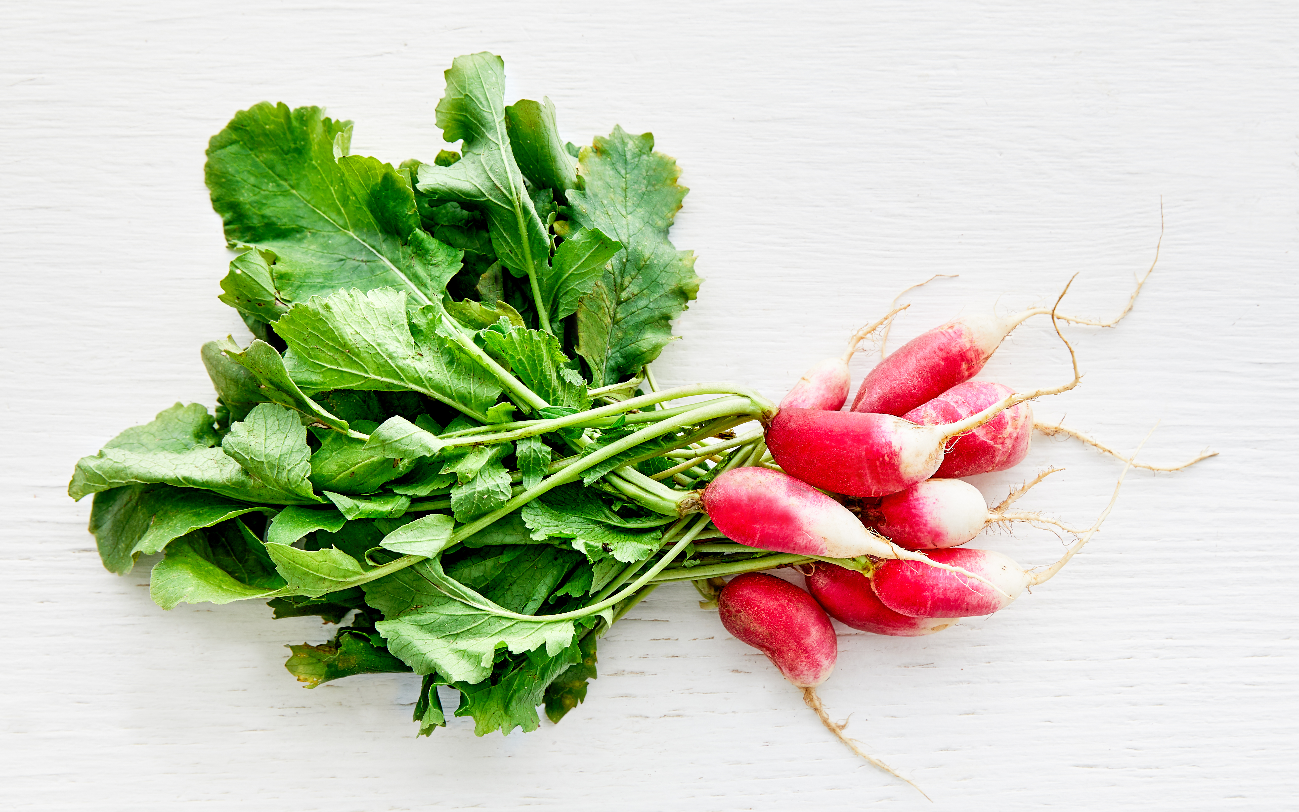 Organic French Breakfast Radishes | 1 bunch | Good Humus Produce | Good ...