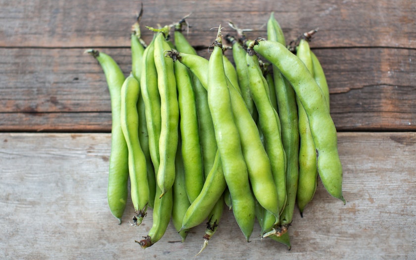 Organic Fava Beans | 1 lb | Earl's Organic Produce | Good Eggs