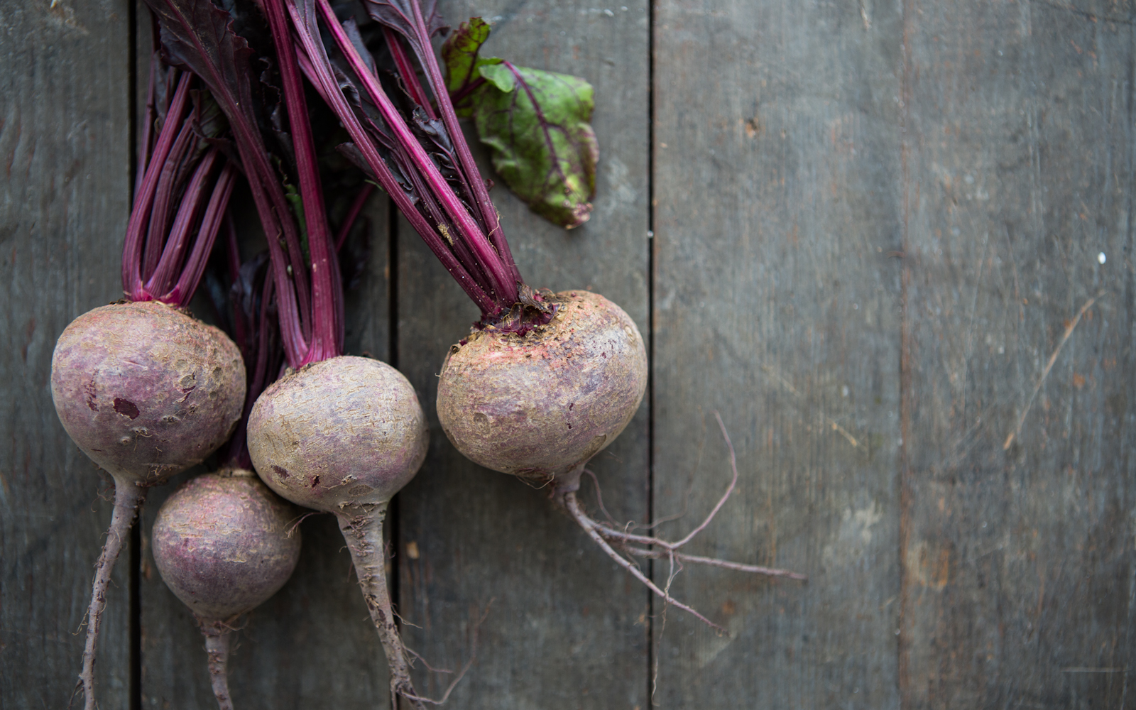 Organic Bunched Red Beets | 1 bunch | Oya Organics | Good Eggs