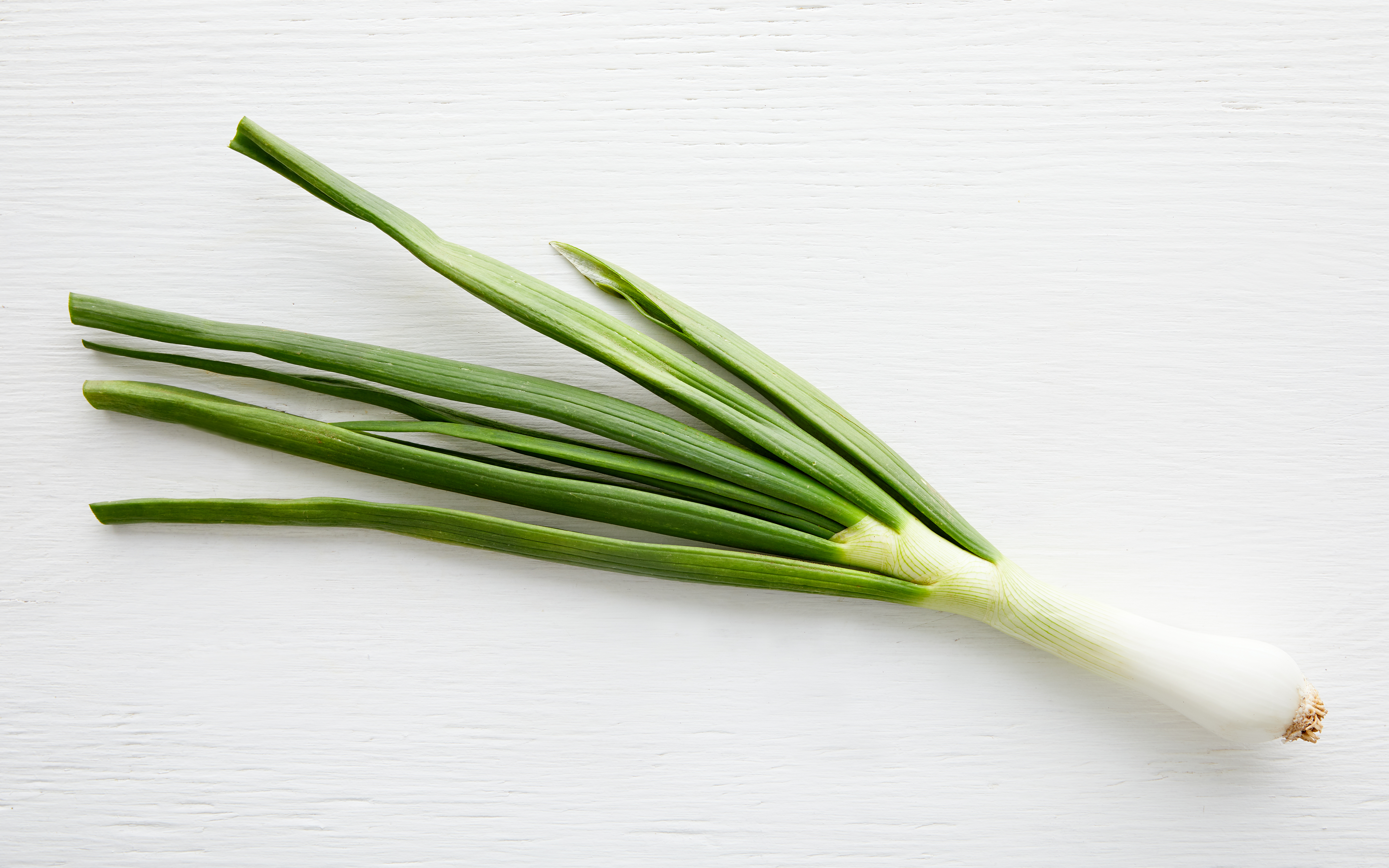 Organic White Spring Onion | 1 count | Terra Firma Farm | Good Eggs
