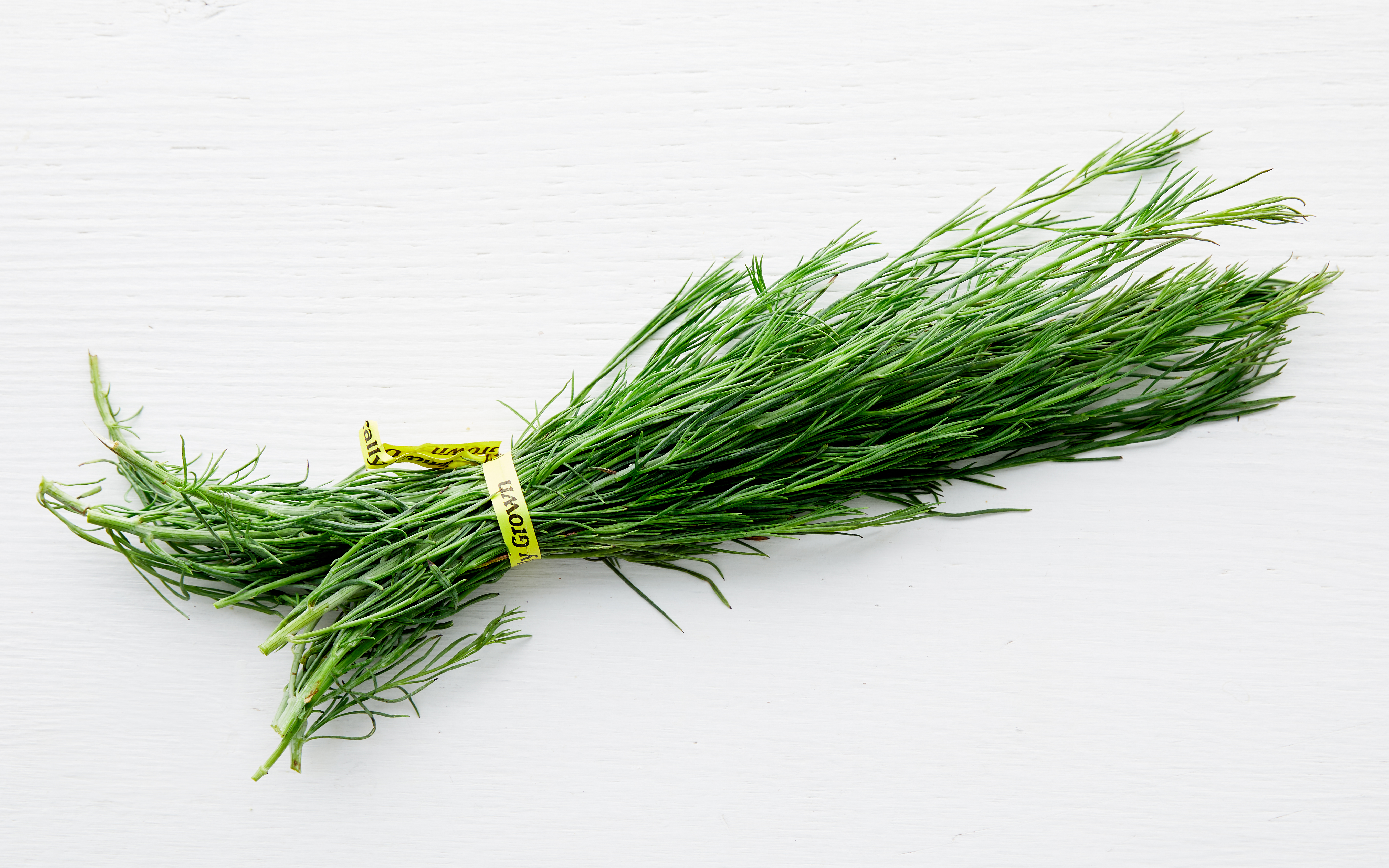 Organic Chepiche de Oaxaca | 1 bunch | Oya Organics | Good Eggs