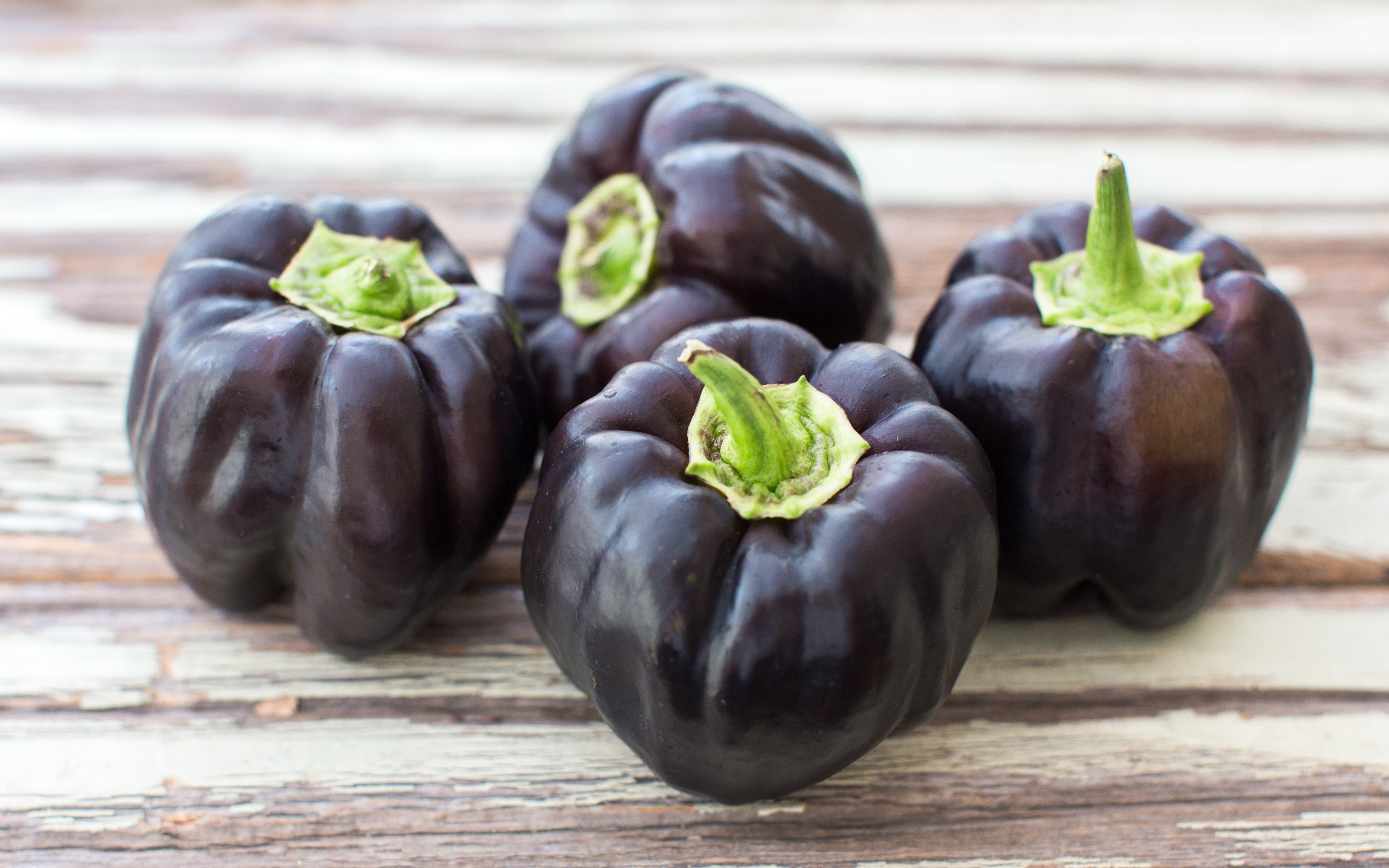 Organic Purple Islander Bell Peppers | 1 lb | Fifth Crow Farm | Good Eggs