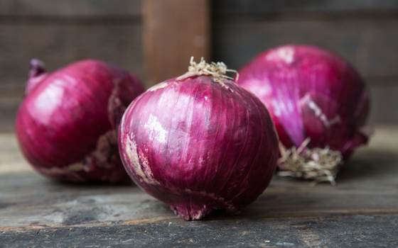 Organic Fresh Red Onions | 1 lb | Heger Farms | Good Eggs